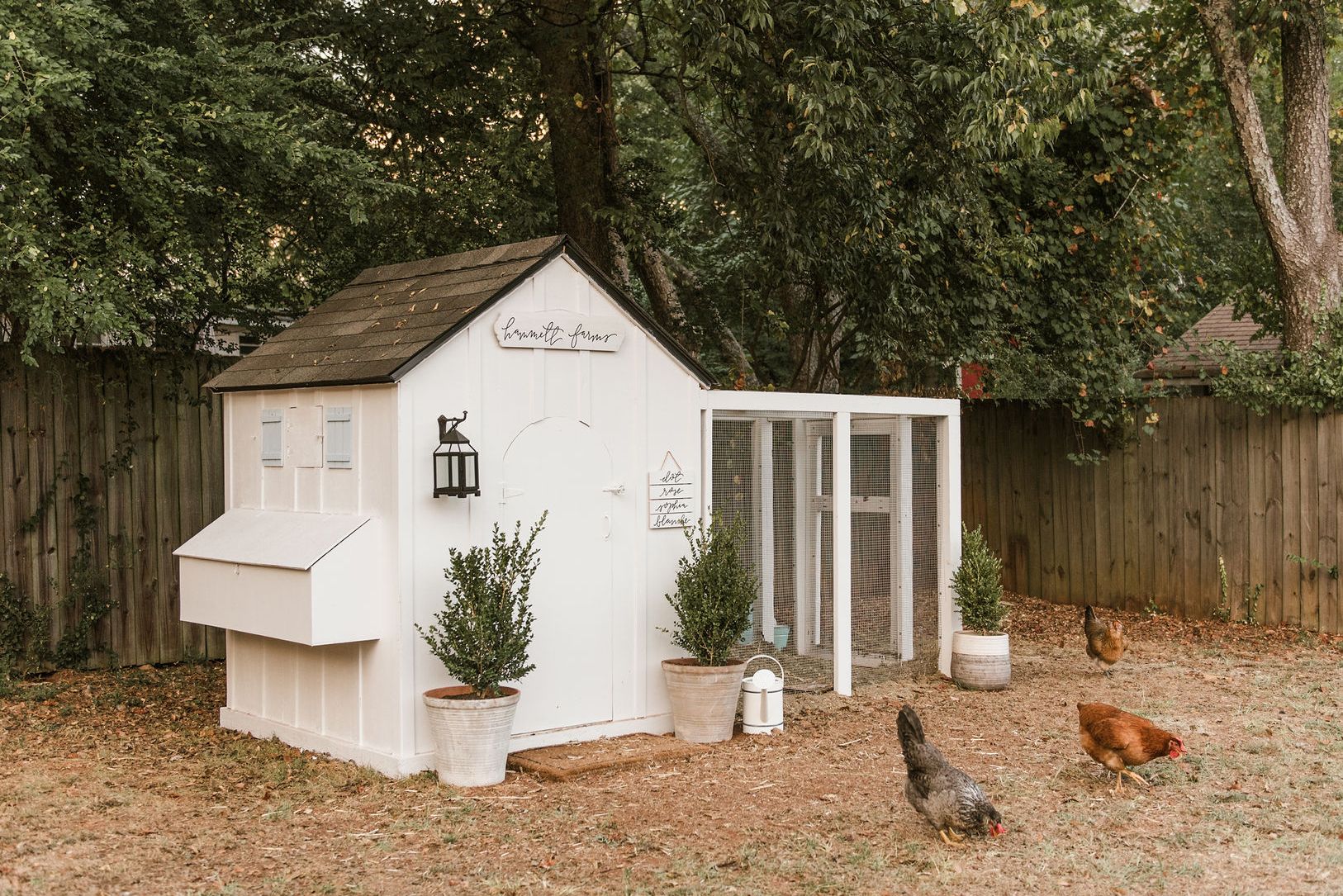 How to Build a Chicken Coop : 11 Steps (with Pictures) - Instructables