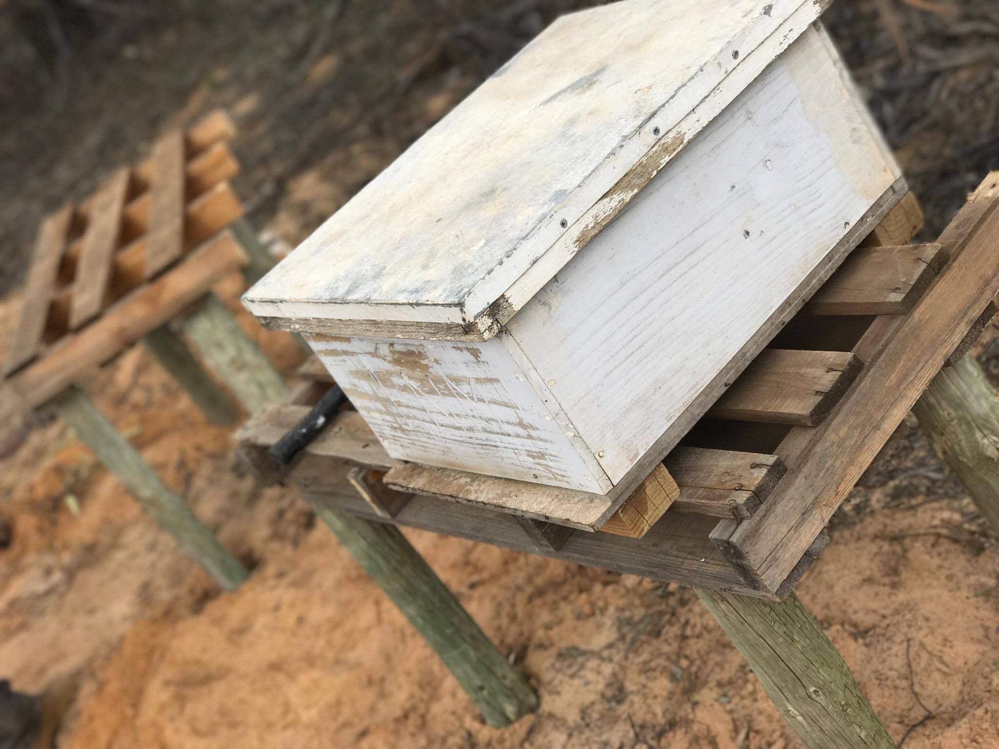 How to Build a Bee Hive Stand on the Cheap : 8 Steps (with Pictures ...