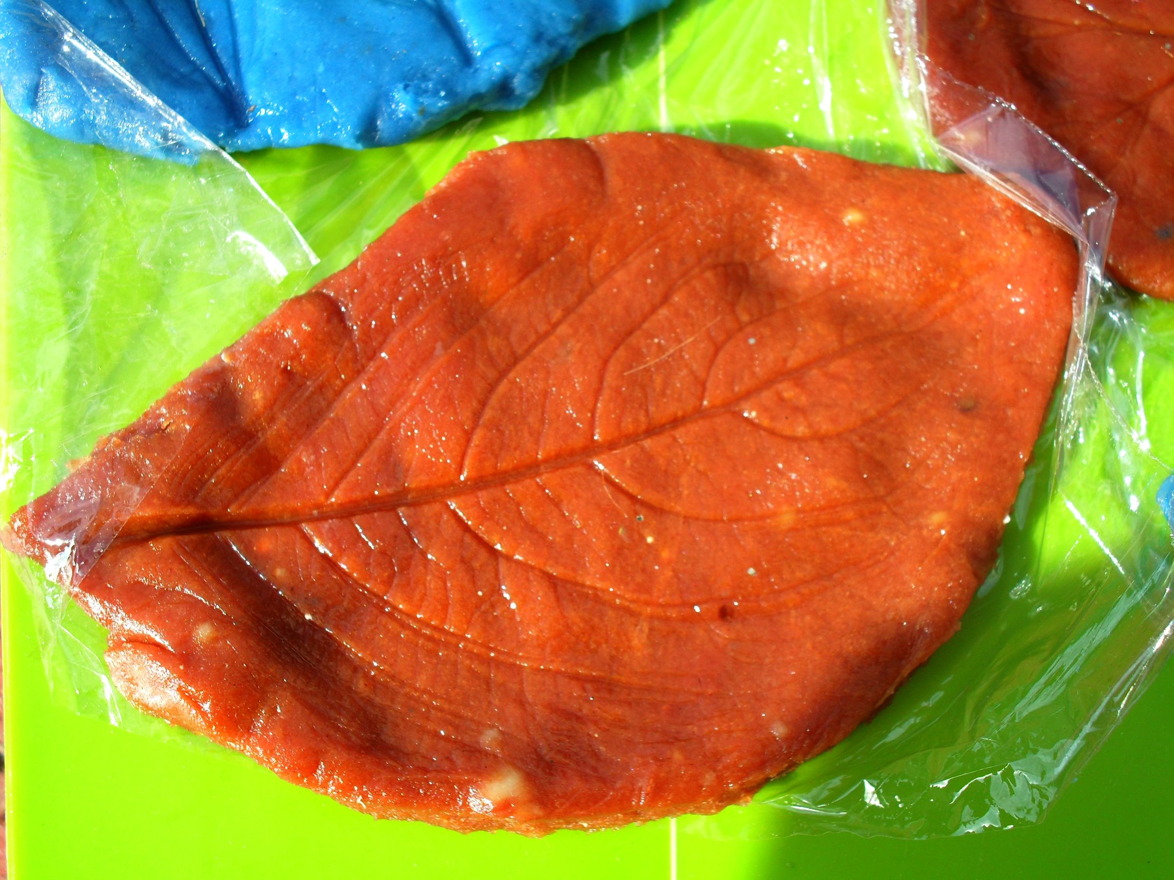 Easy Mold Making : 3 Steps (with Pictures) - Instructables