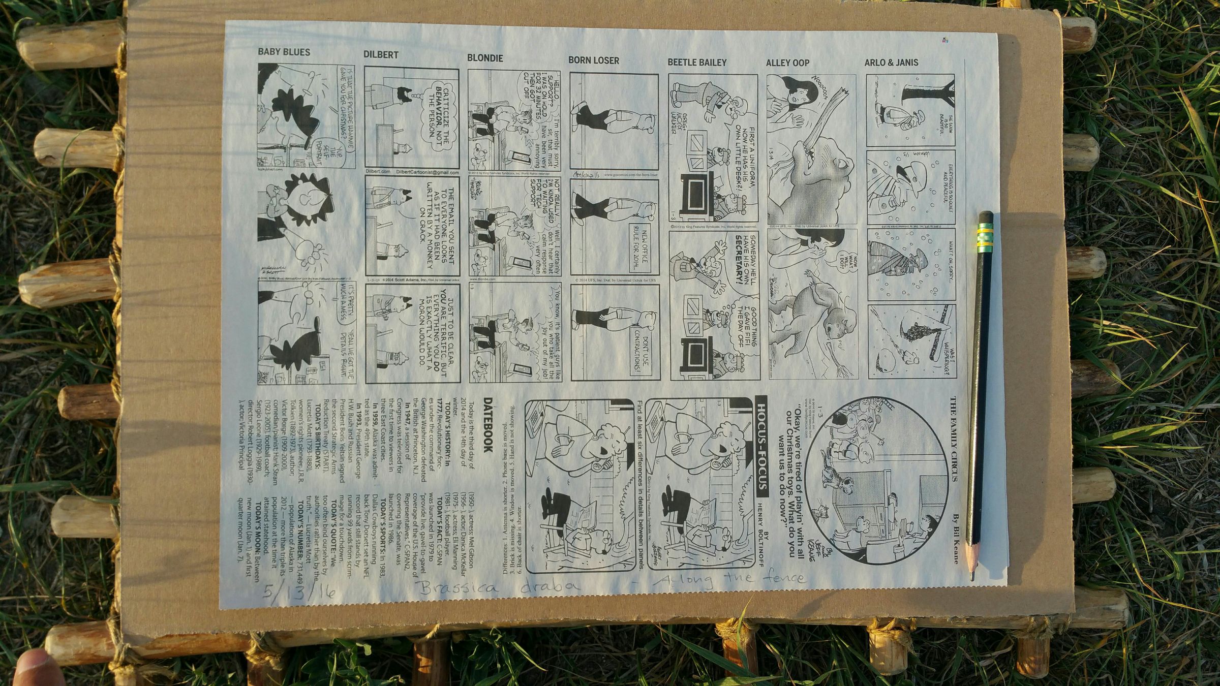 Wooden Plant Press : 9 Steps (with Pictures) - Instructables