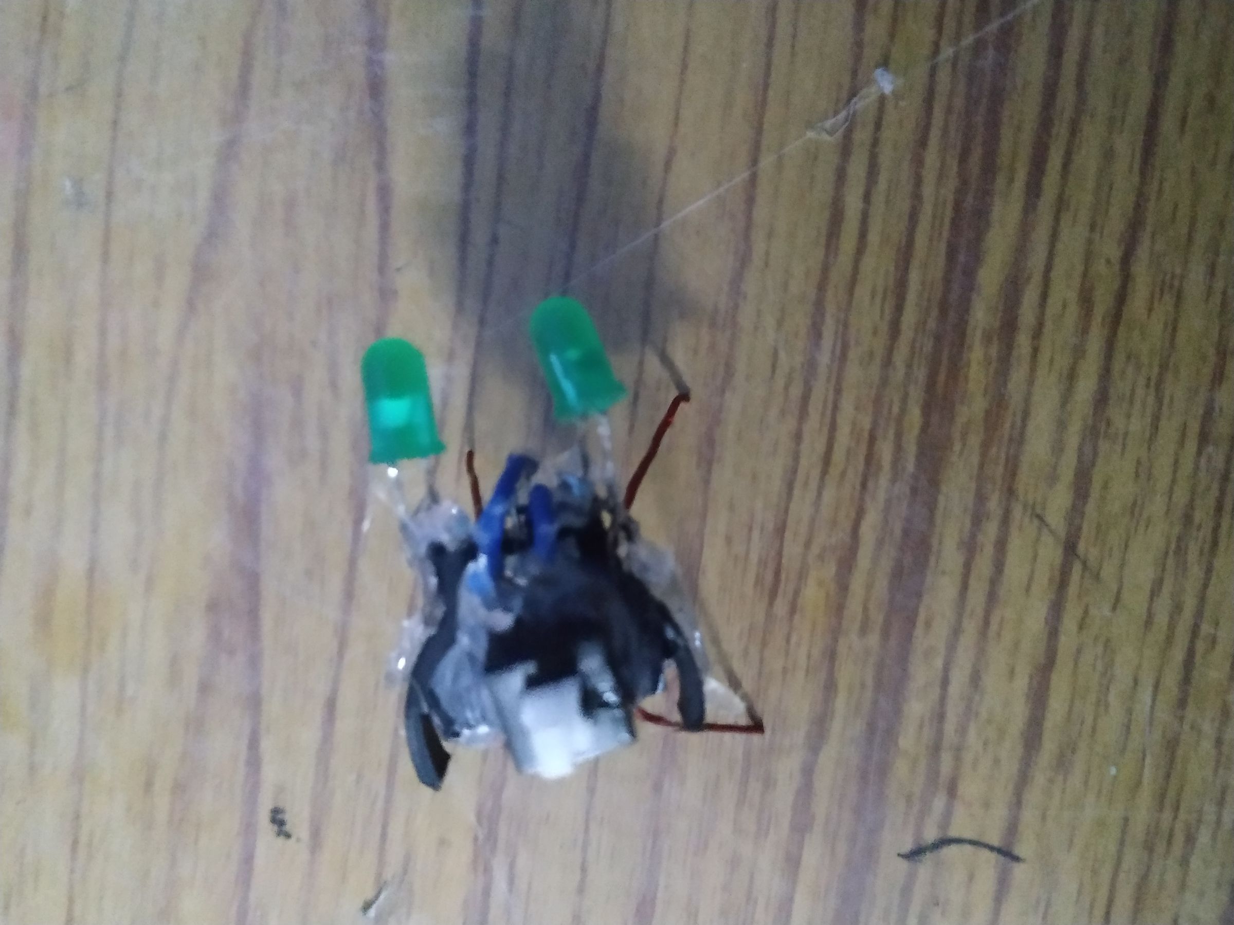 Bug Bot - Instructables