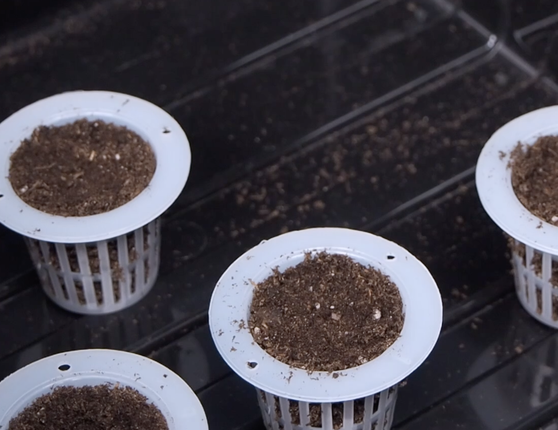 Make Your Hydroponics System Fully Automated and View Data Via the ...