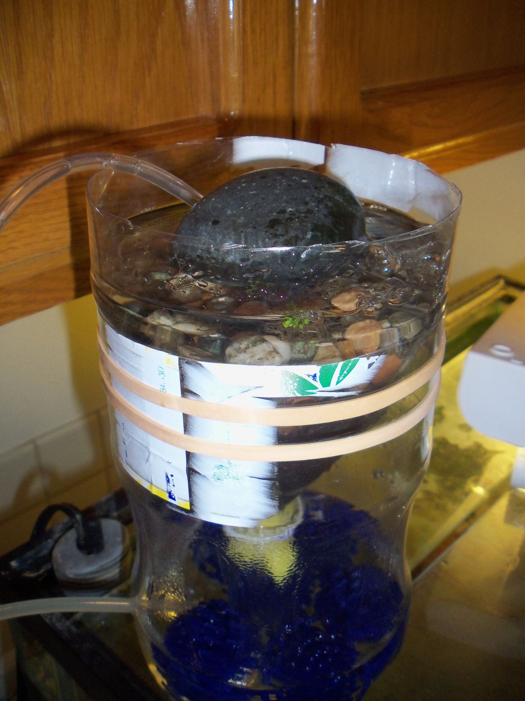 Drip Garden Aquarium Filter : 8 Steps - Instructables