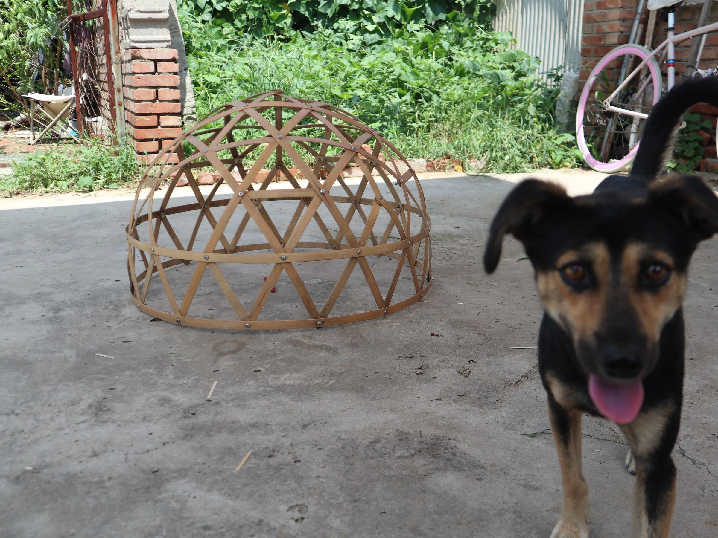How to Assemble the Mini Bamboo Geodesic Dome Dog House Kit – Unique ...