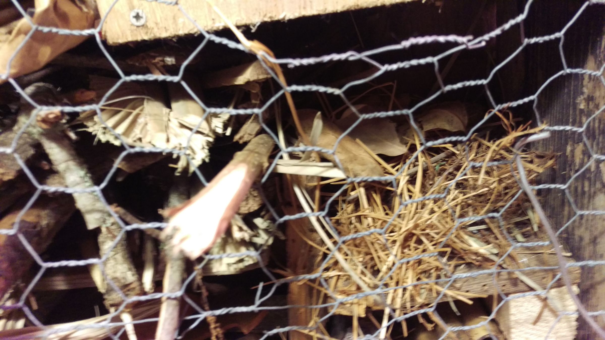 Bee Condo Insect Hotel : 9 Steps (with Pictures) - Instructables