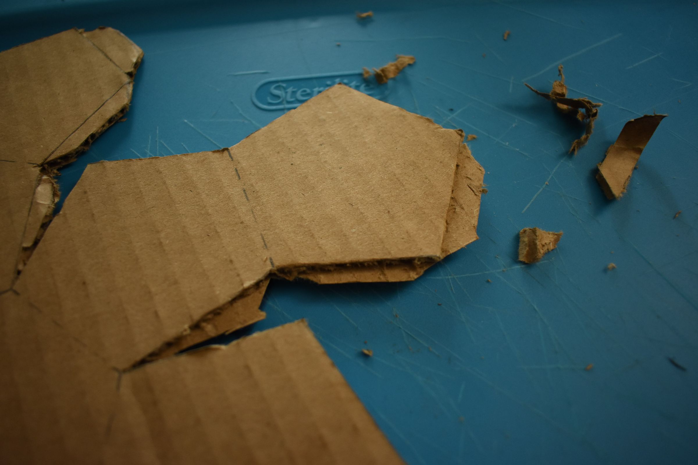 Modern Geometric [Cardboard] Planter : 8 Steps (with Pictures ...