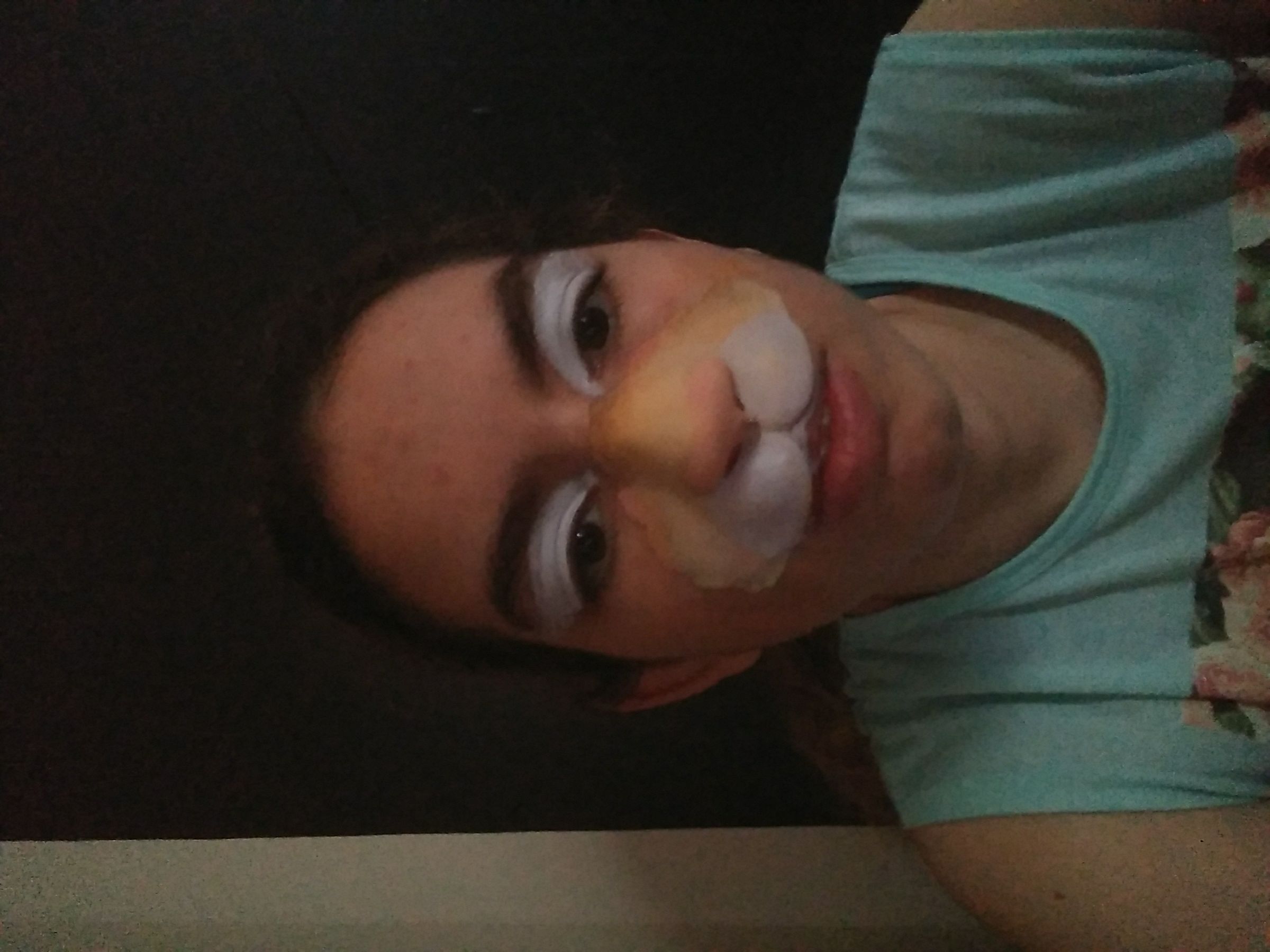 Two Tone Tiger Face Paint : 8 Steps (with Pictures) - Instructables