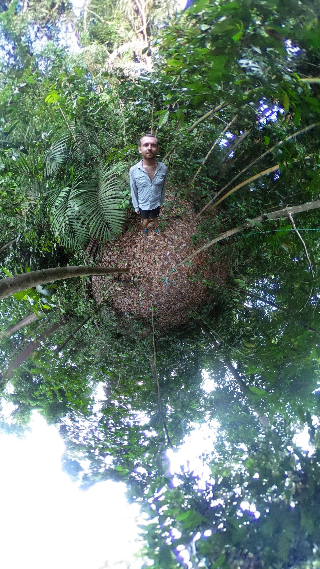 360 Virtual Reality Camera Trap : 16 Steps (with Pictures) - Instructables