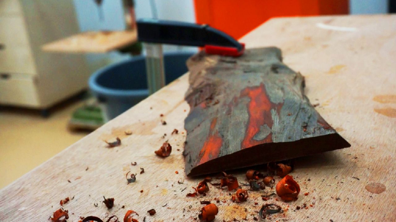 From Tree Bark to Comb : 5 Steps (with Pictures) - Instructables