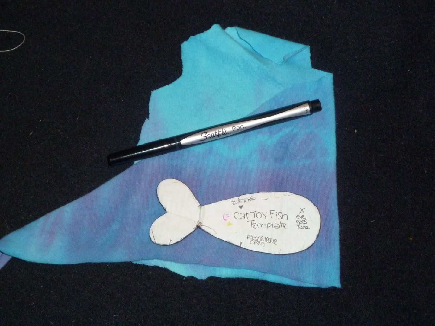 DIY Fish Cat Toy : 6 Steps (with Pictures) - Instructables