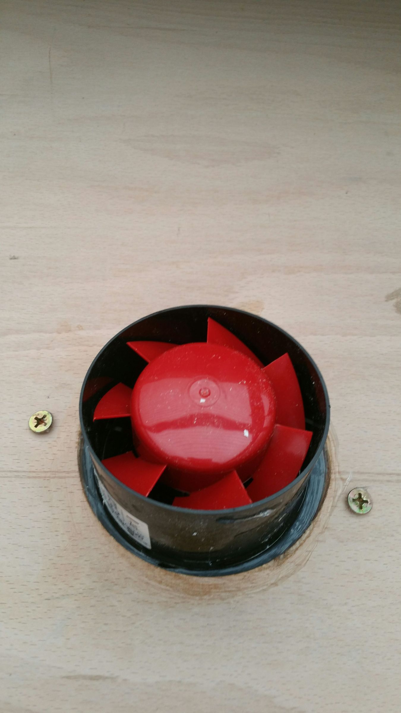 Fly Cage Black Soldier Fly Breeding UK. : 9 Steps (with Pictures ...