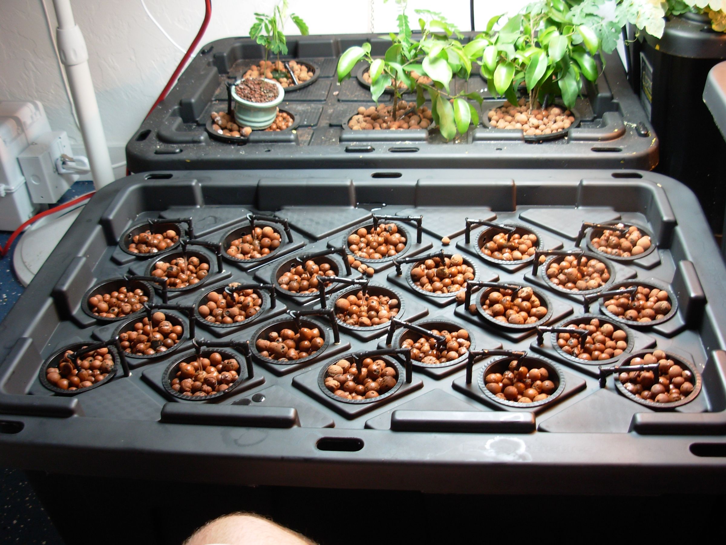 How to Build a Home Hydroponics System : 8 Steps (with Pictures ...