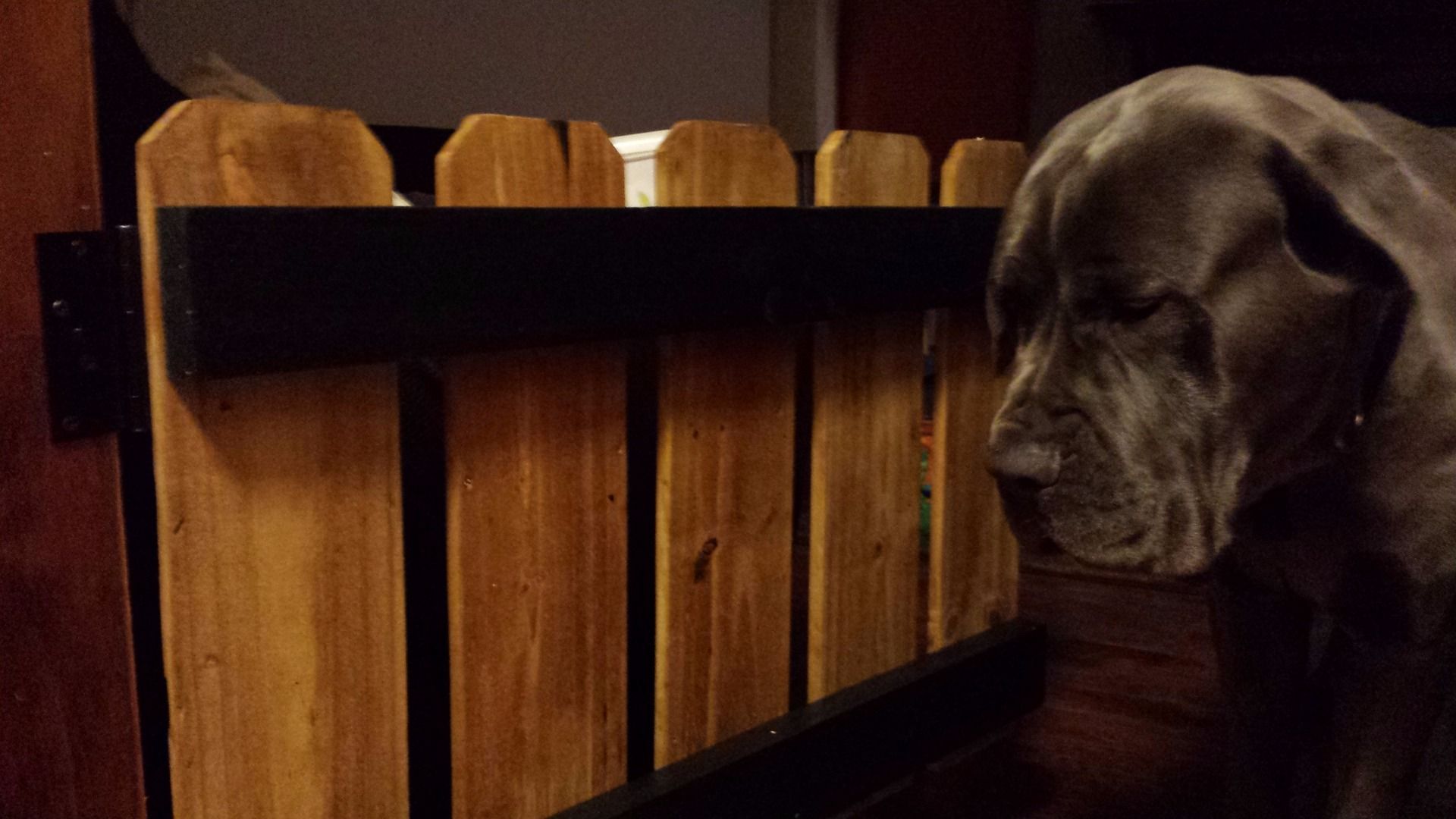 Baby/Pet Gates From Pallet Wood: Super Easy!! : 3 Steps (with Pictures ...