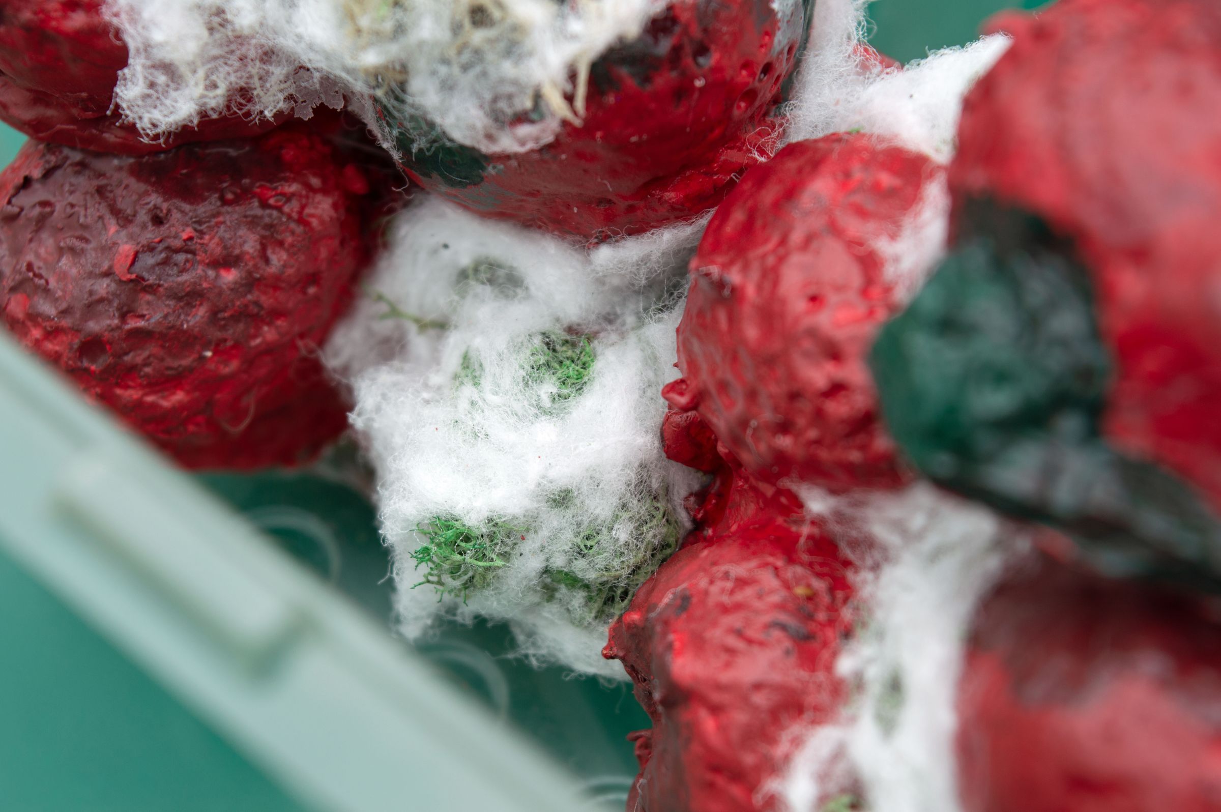 Secret Rotten Strawberry Safe : 20 Steps (with Pictures) - Instructables