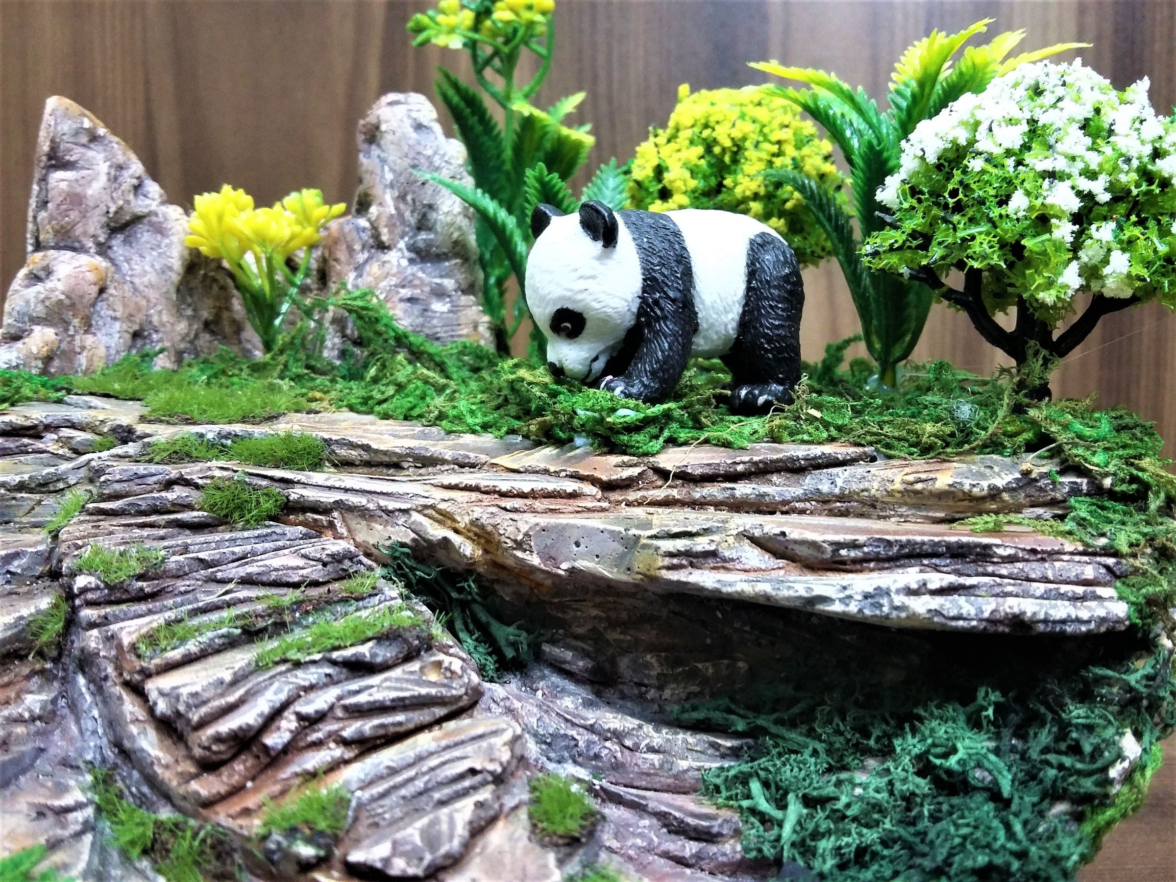 Giant Panda Habitat Diorama