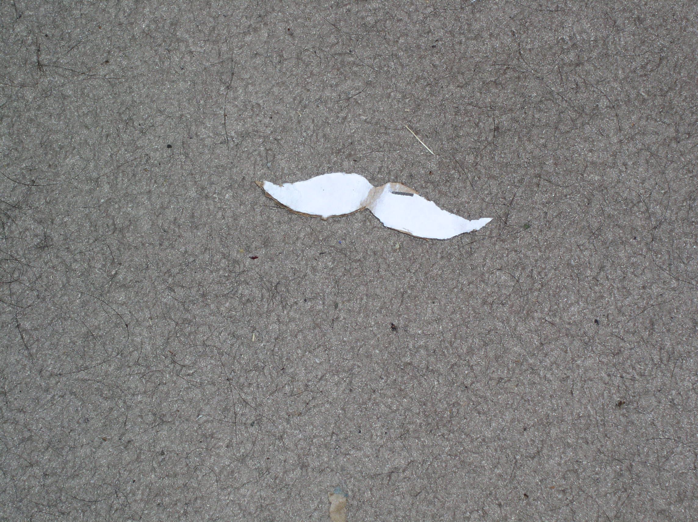 Cardboard Top Hat, Monocle, and Mustache : 9 Steps - Instructables