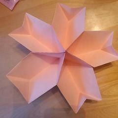 Origami Cherry Blossom : 7 Steps (with Pictures) - Instructables