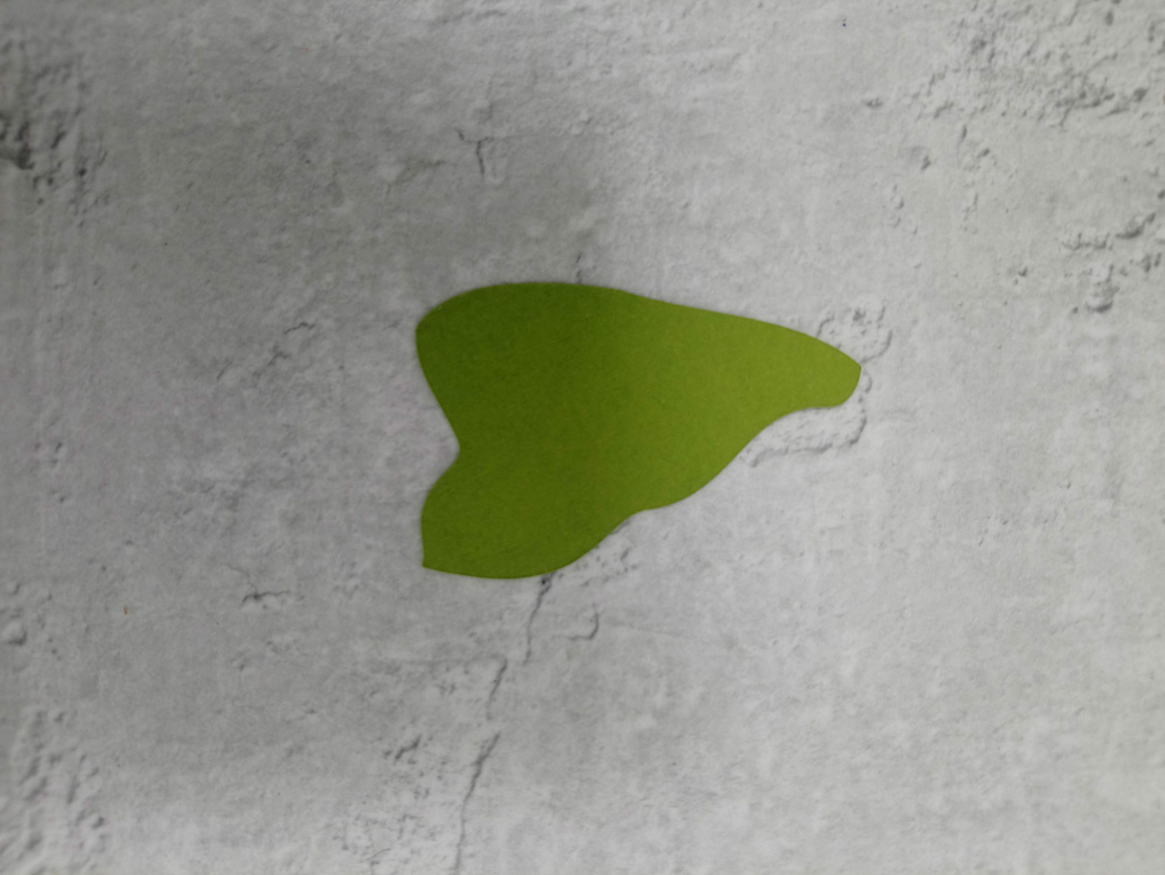 Mapping Your Mind- a Lesson on the Human Brain : 7 Steps - Instructables