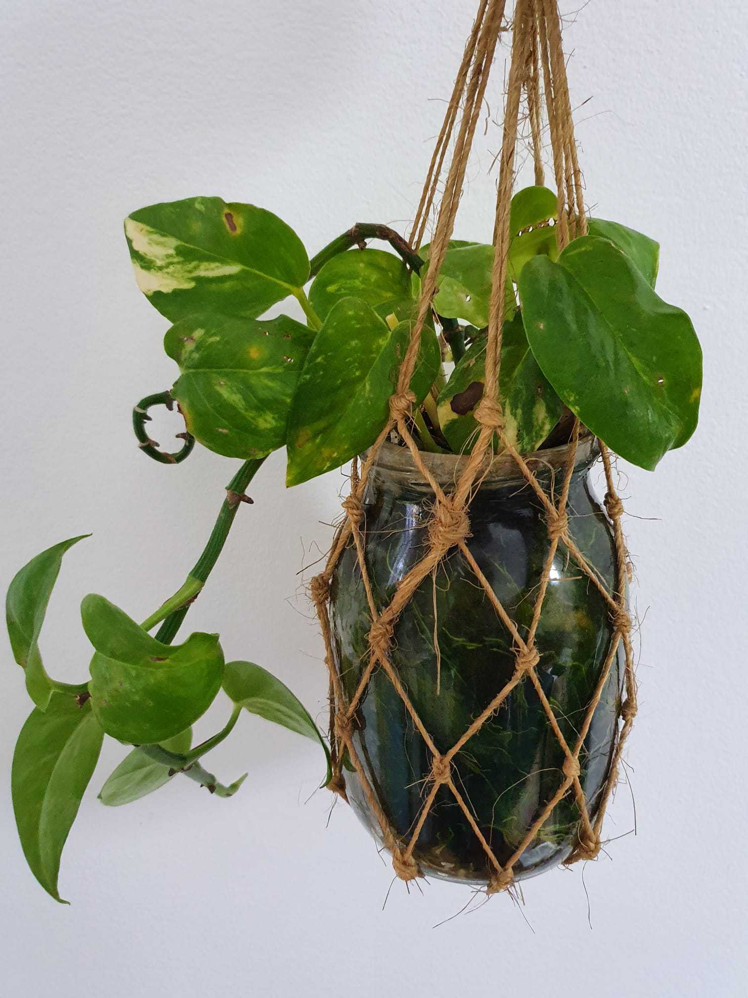 Custom Plant Pots : 3 Steps - Instructables