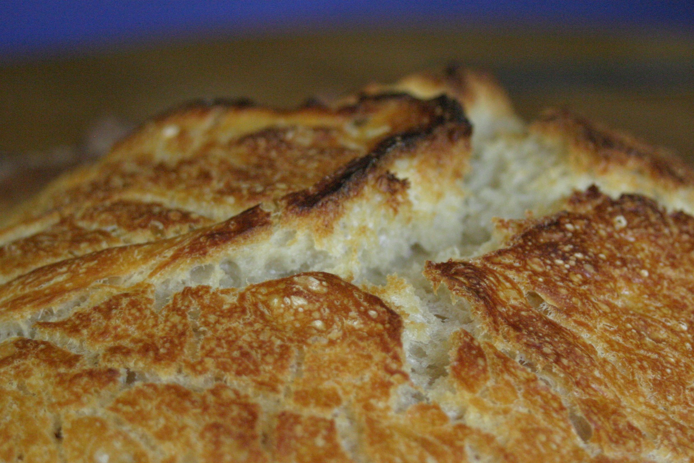 Sourdough Bread : 18 Steps (with Pictures) - Instructables