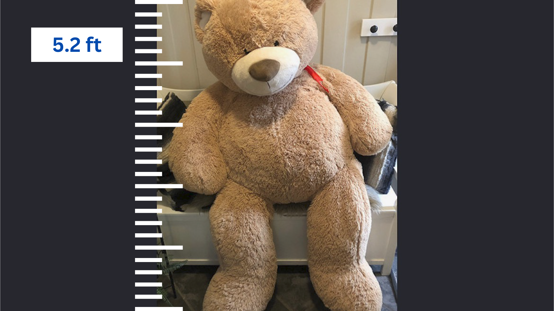 Teddy Monster Halloween Costume : 12 Steps (with Pictures) - Instructables