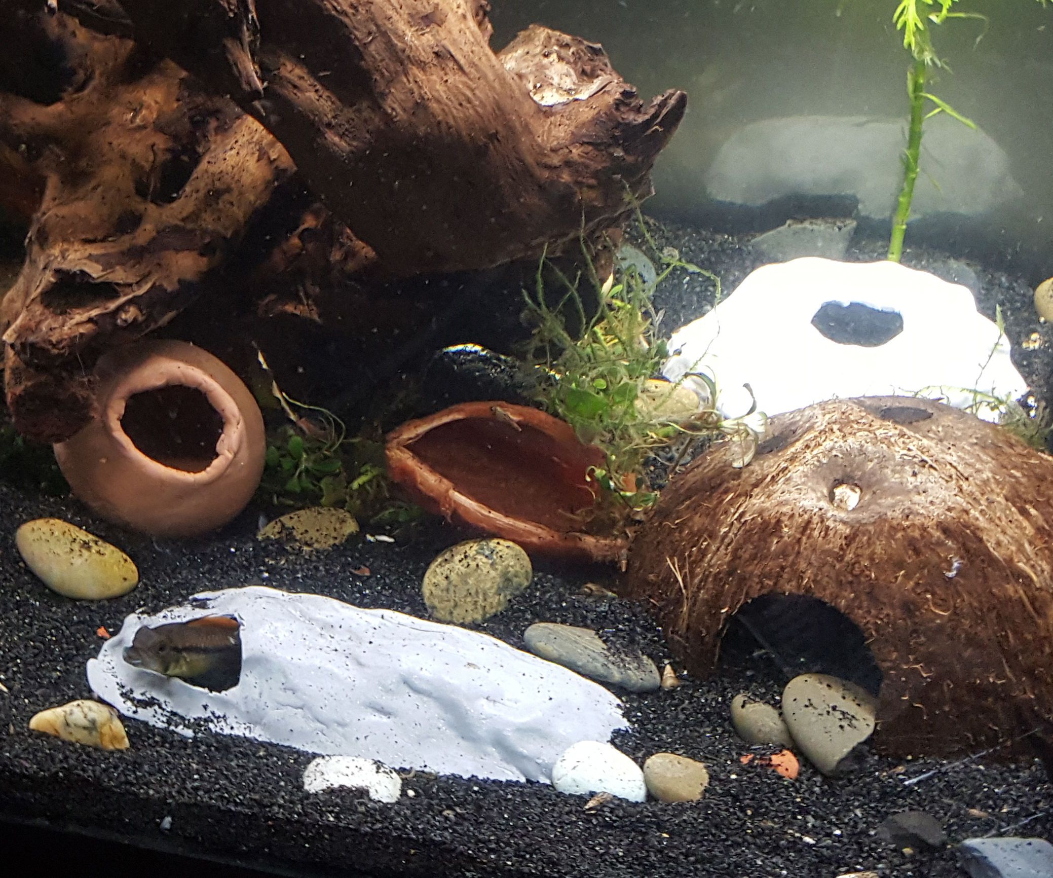 How to Make a Polymer Clay Cave : 9 Steps (with Pictures) - Instructables