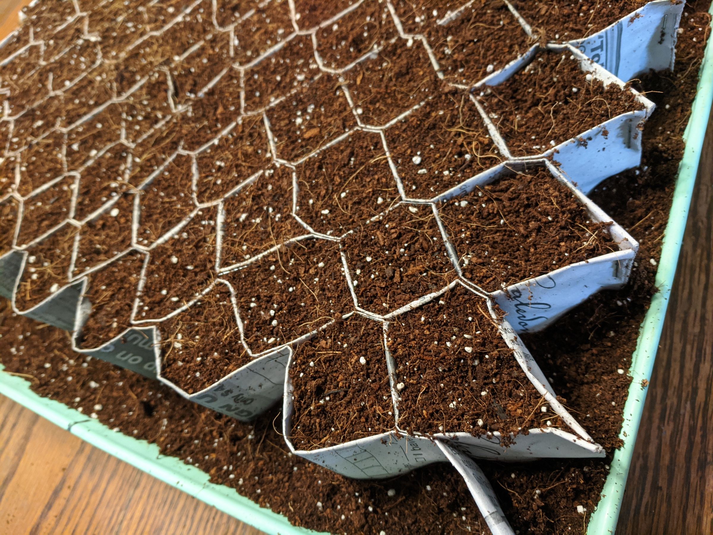 Seedling Tray Insert : 9 Steps (with Pictures) - Instructables