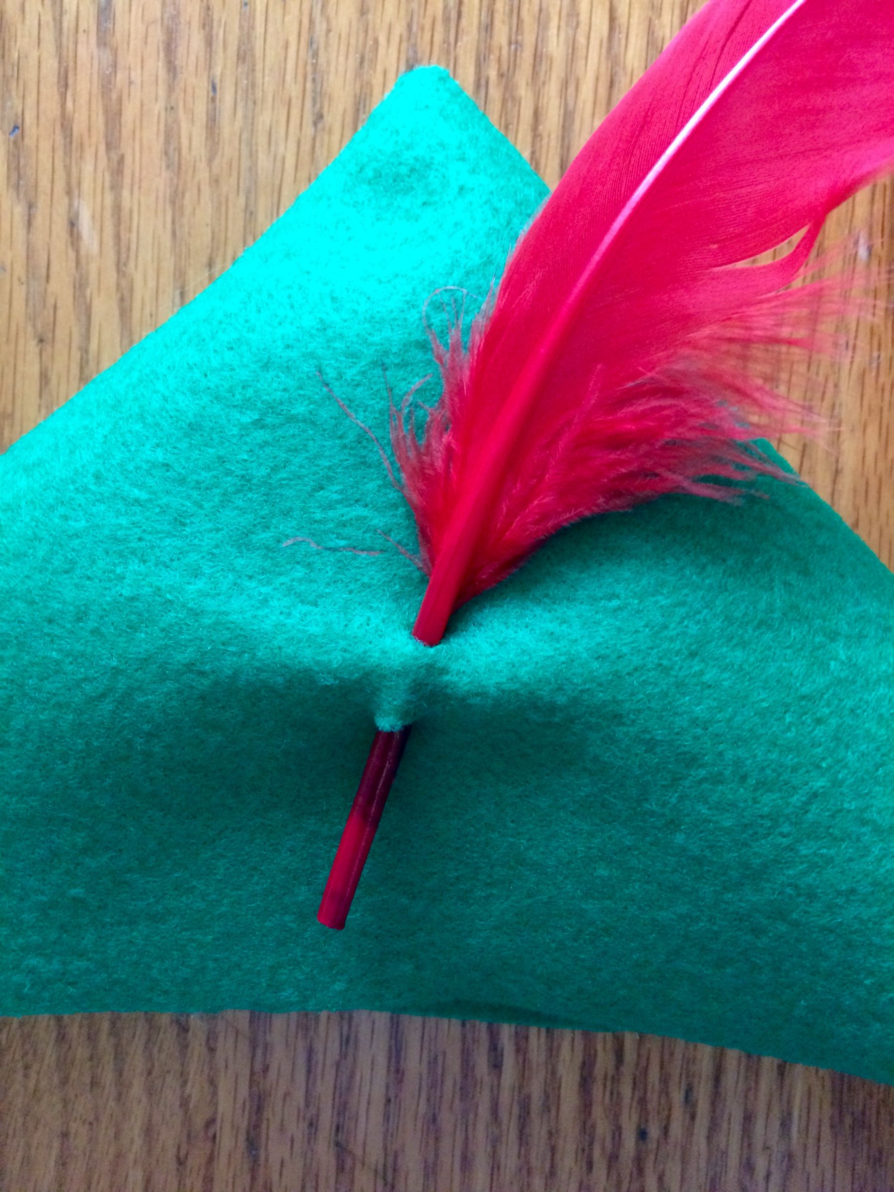 Easy Peter Pan Costume : 4 Steps (with Pictures) - Instructables