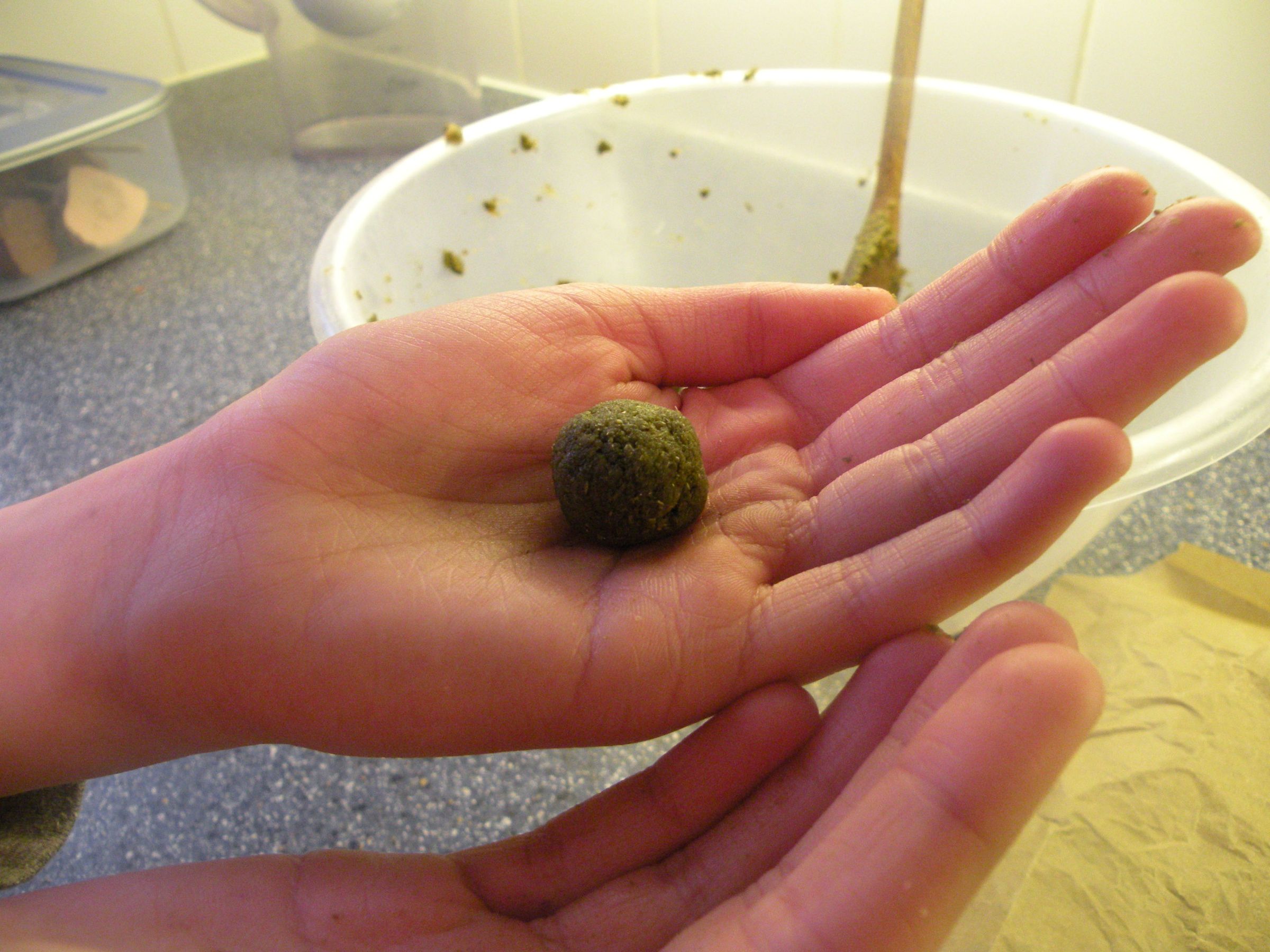 Homemade Rabbit Treats - Instructables