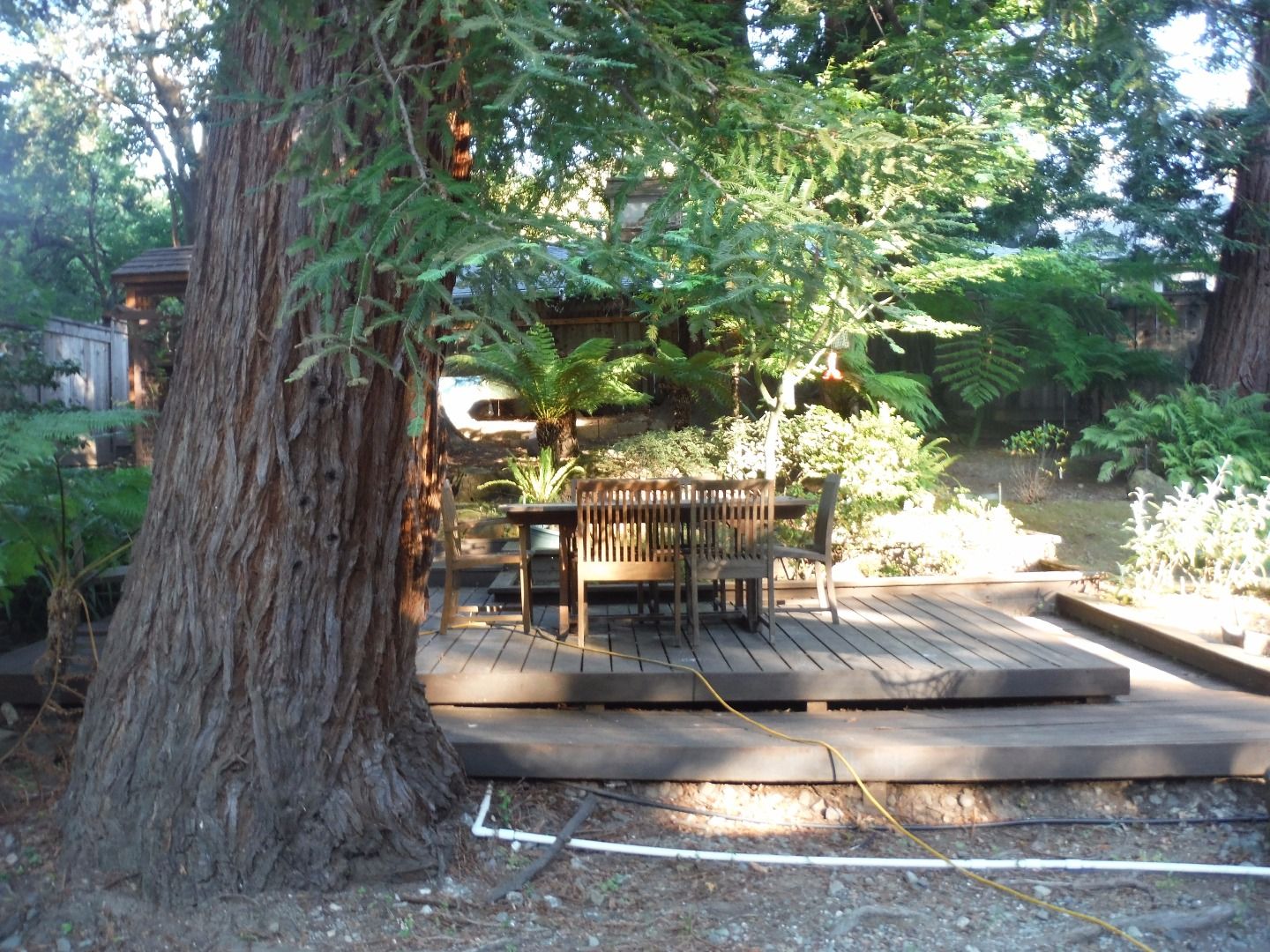 Tree Safe : 6 Steps (with Pictures) - Instructables