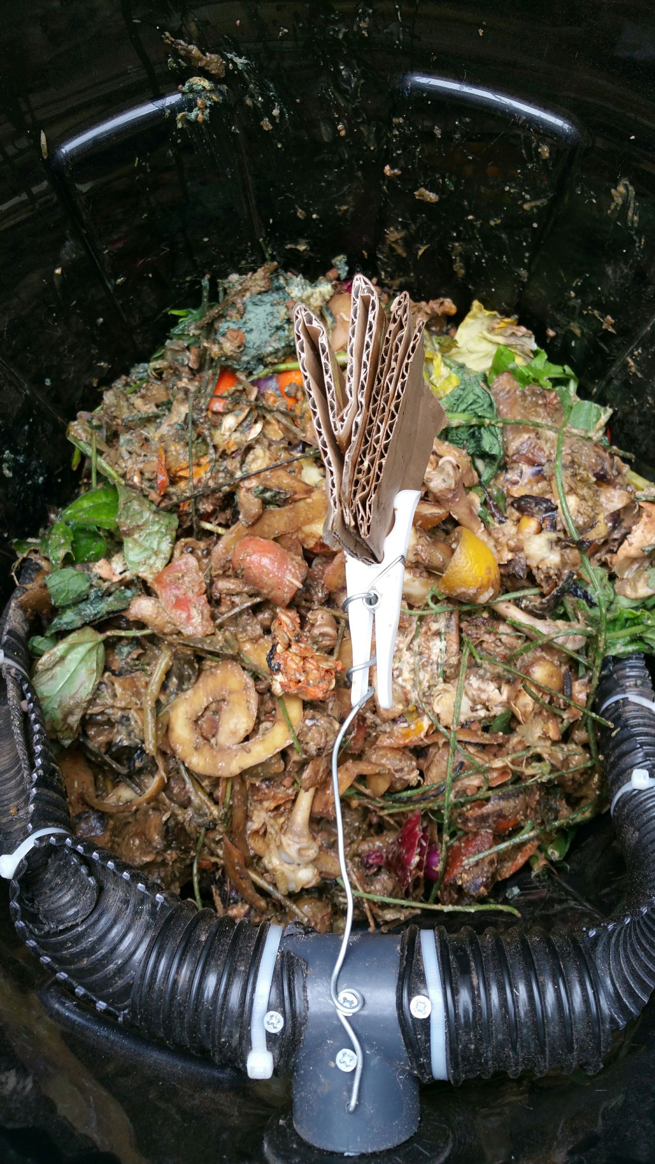 Fly Farm Box. Maggot Box. : 8 Steps (with Pictures) - Instructables