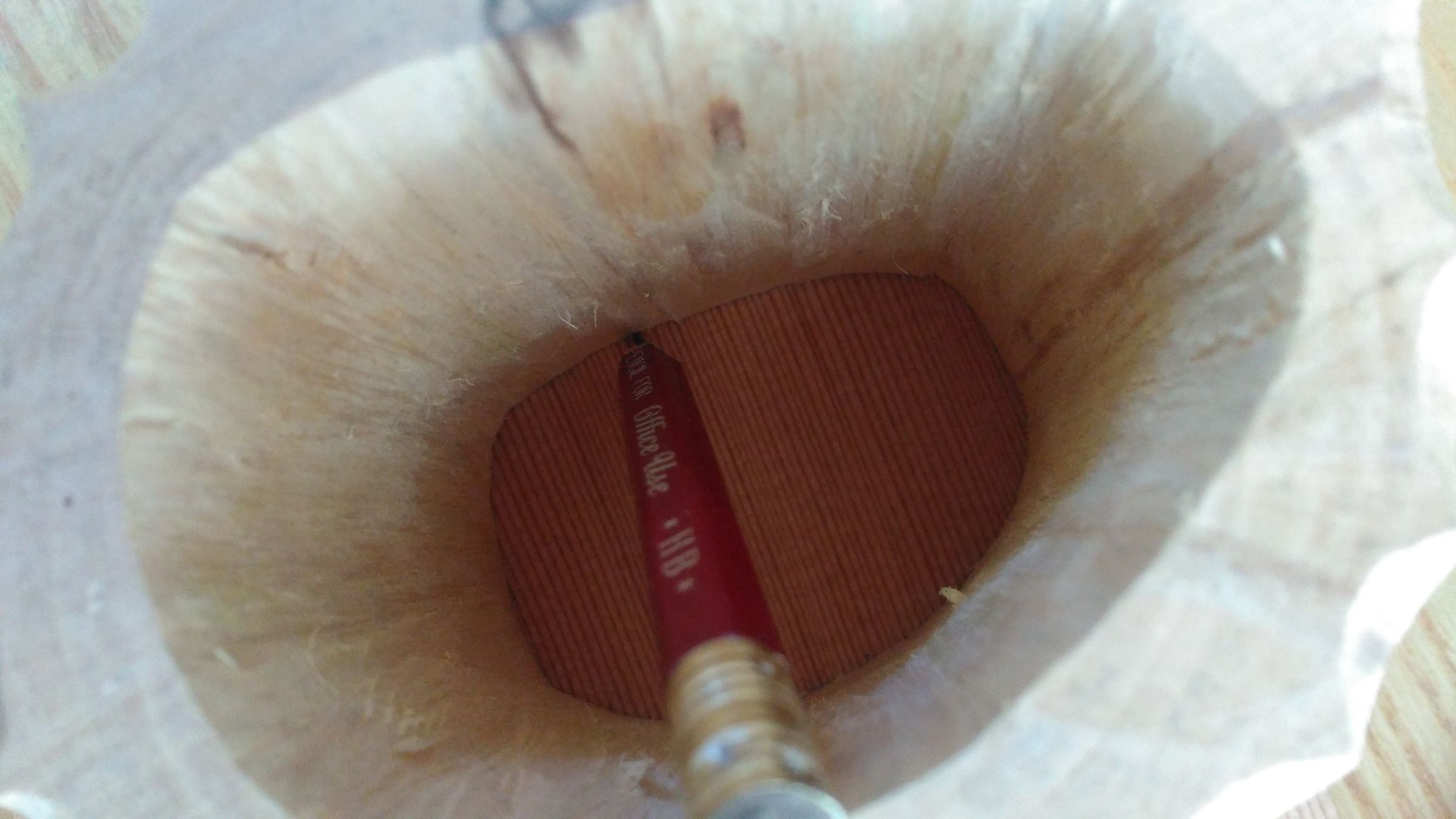 Shrink Pot Planter : 15 Steps (with Pictures) - Instructables