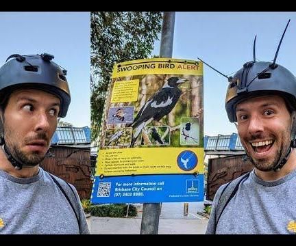 Swoop Stopper Helmet : 5 Steps (with Pictures) - Instructables