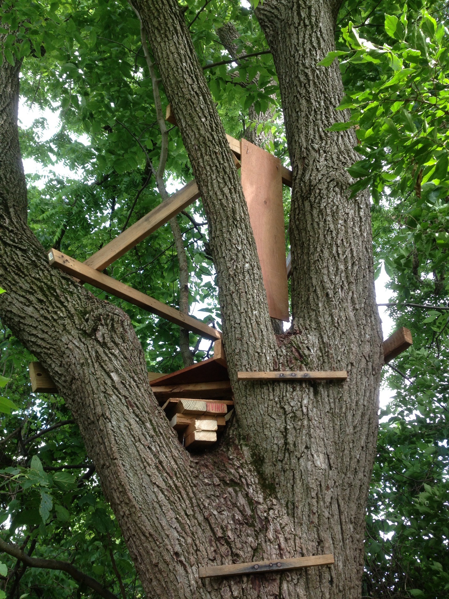 DIY Treehouse : 9 Steps - Instructables