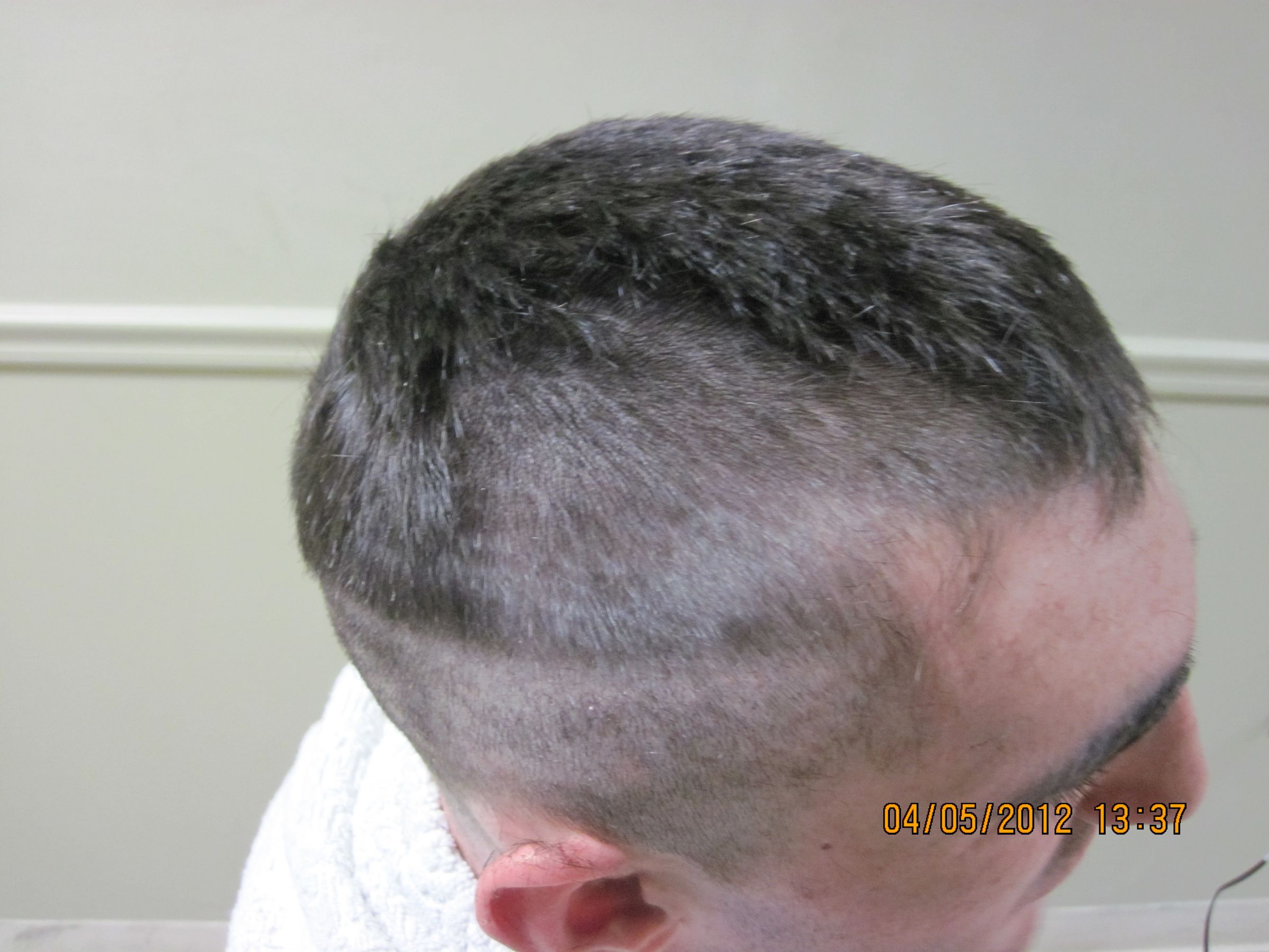 High and Tight Hair Cut : 4 Steps - Instructables