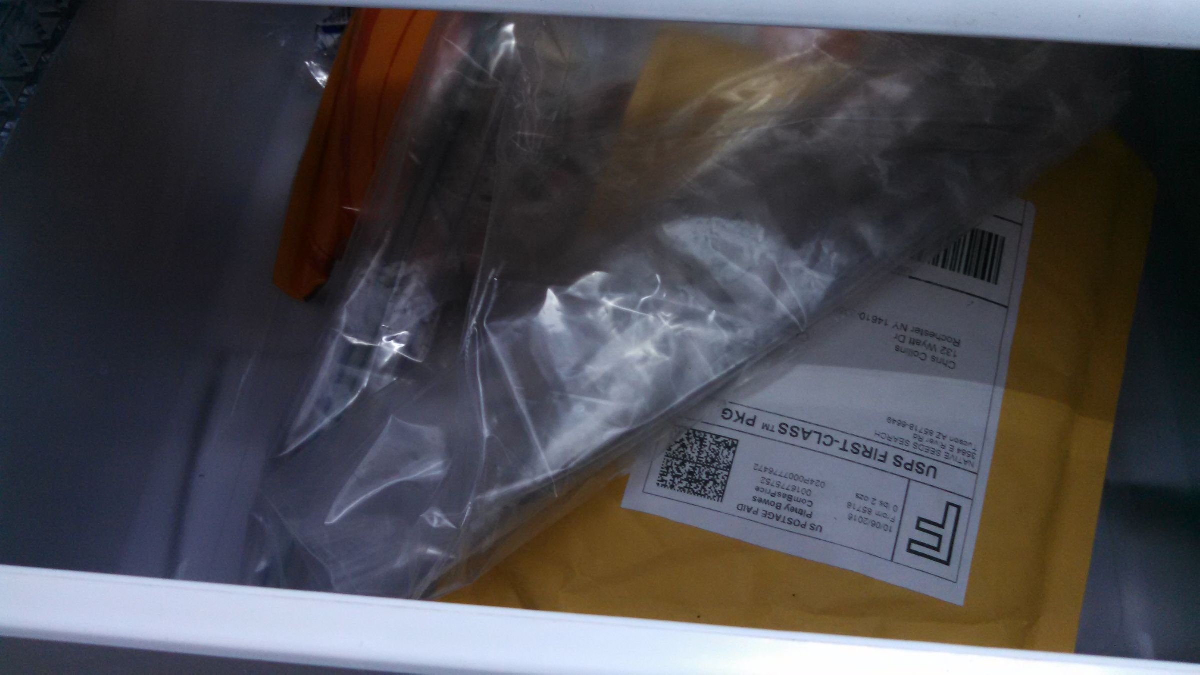 Grafting a Multi-variety Apple Tree. : 10 Steps (with Pictures ...