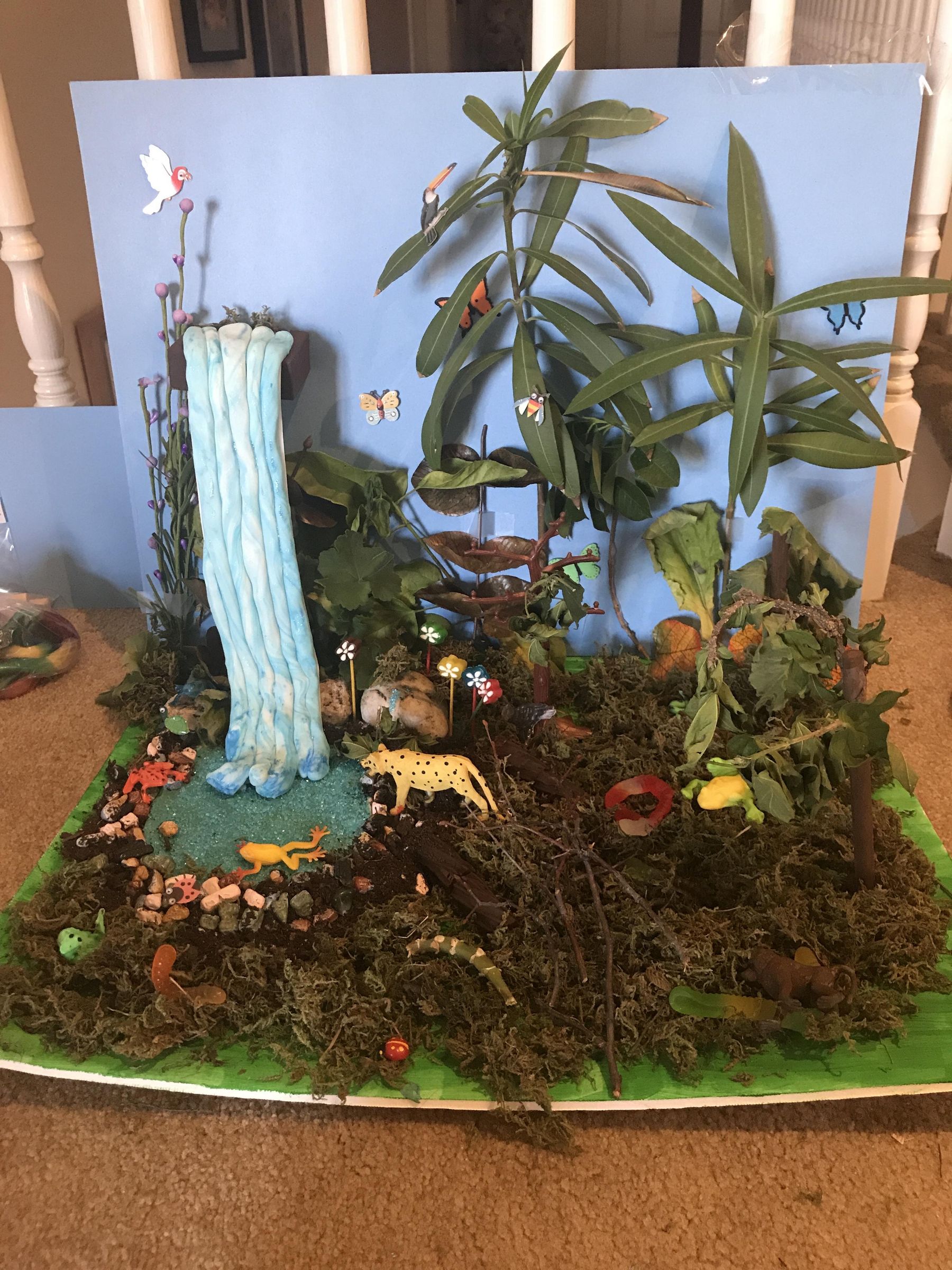 Rainforest Ecosystem Examples Sustaining Ecosystems Ecosystems And