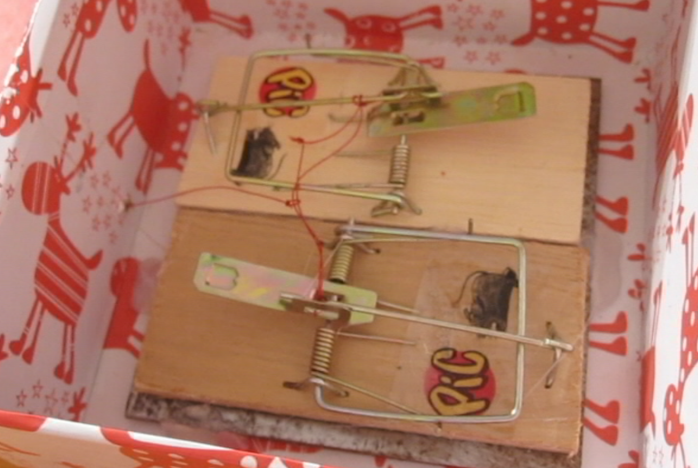 The Fun, Surprising, Exploding Gift Box : 5 Steps - Instructables