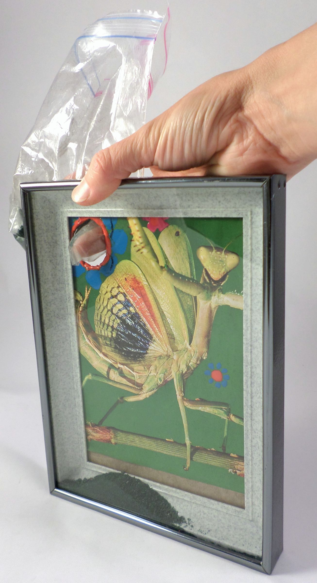 Picture Frame Terrarium : 13 Steps (with Pictures) - Instructables
