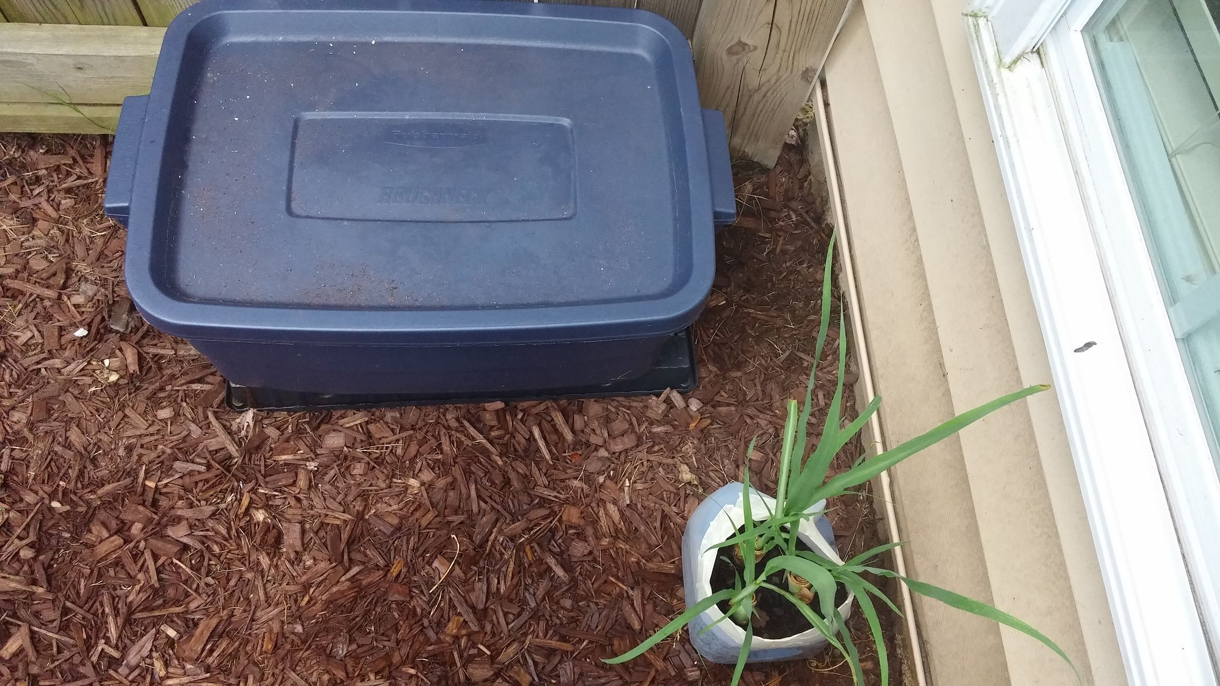 5 Minute, 5 Dollar Worm Farm : 5 Steps (with Pictures) - Instructables