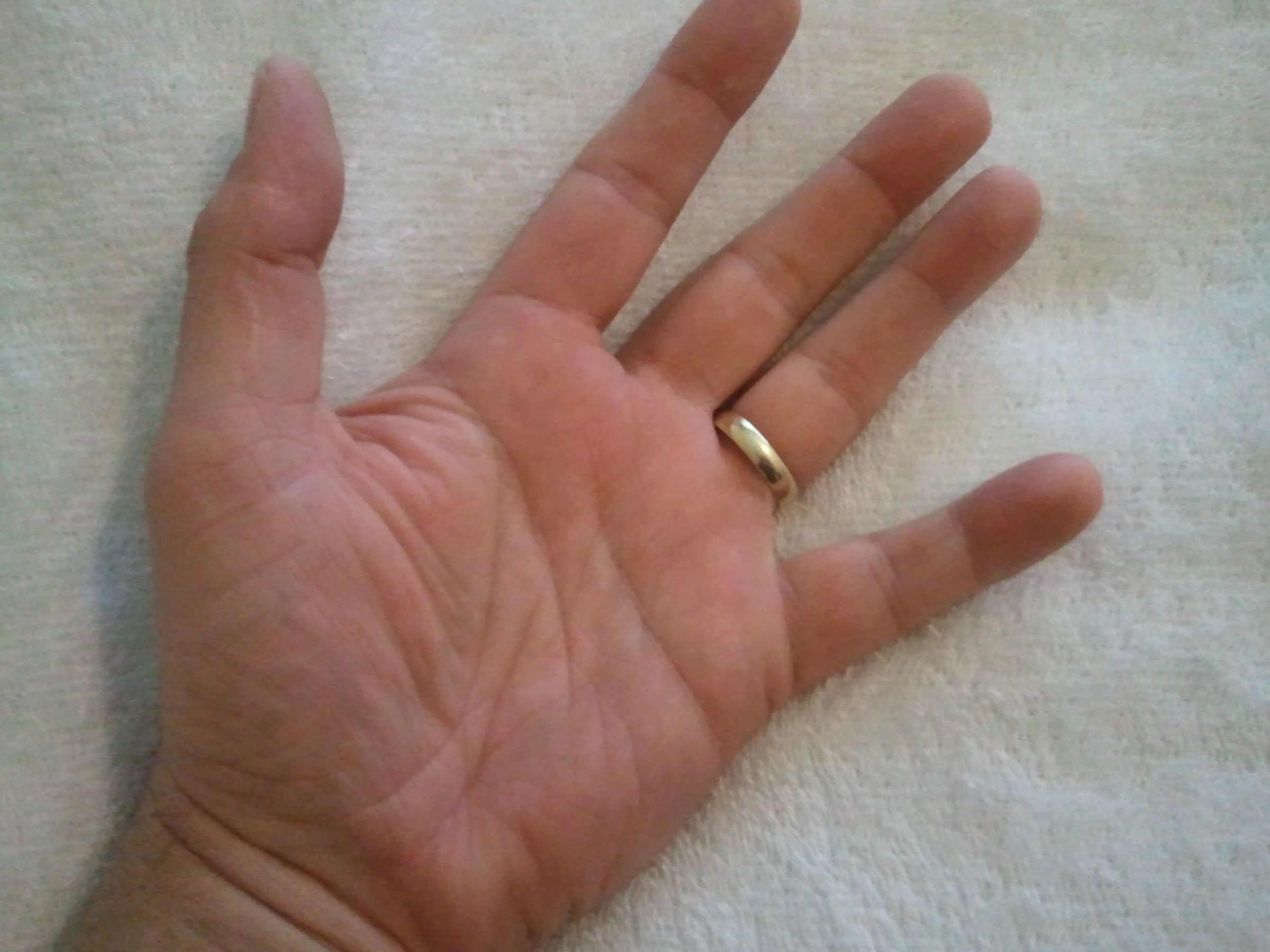 How to "Braai" Meat the South African Way : 8 Steps (with Pictures ...