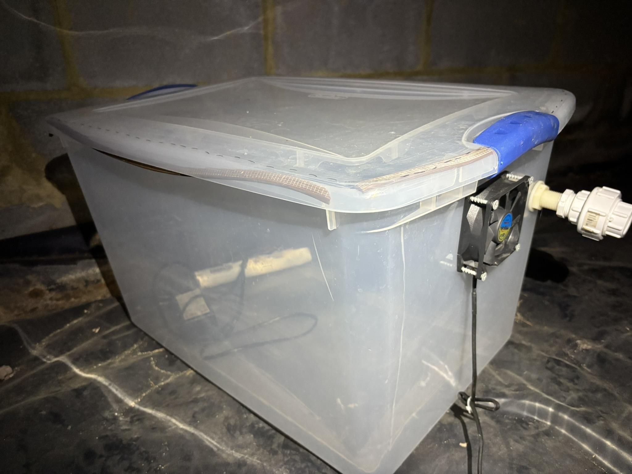 Fiendish Devil Witch - Animatronic Halloween Nightmare : 22 Steps (with ...