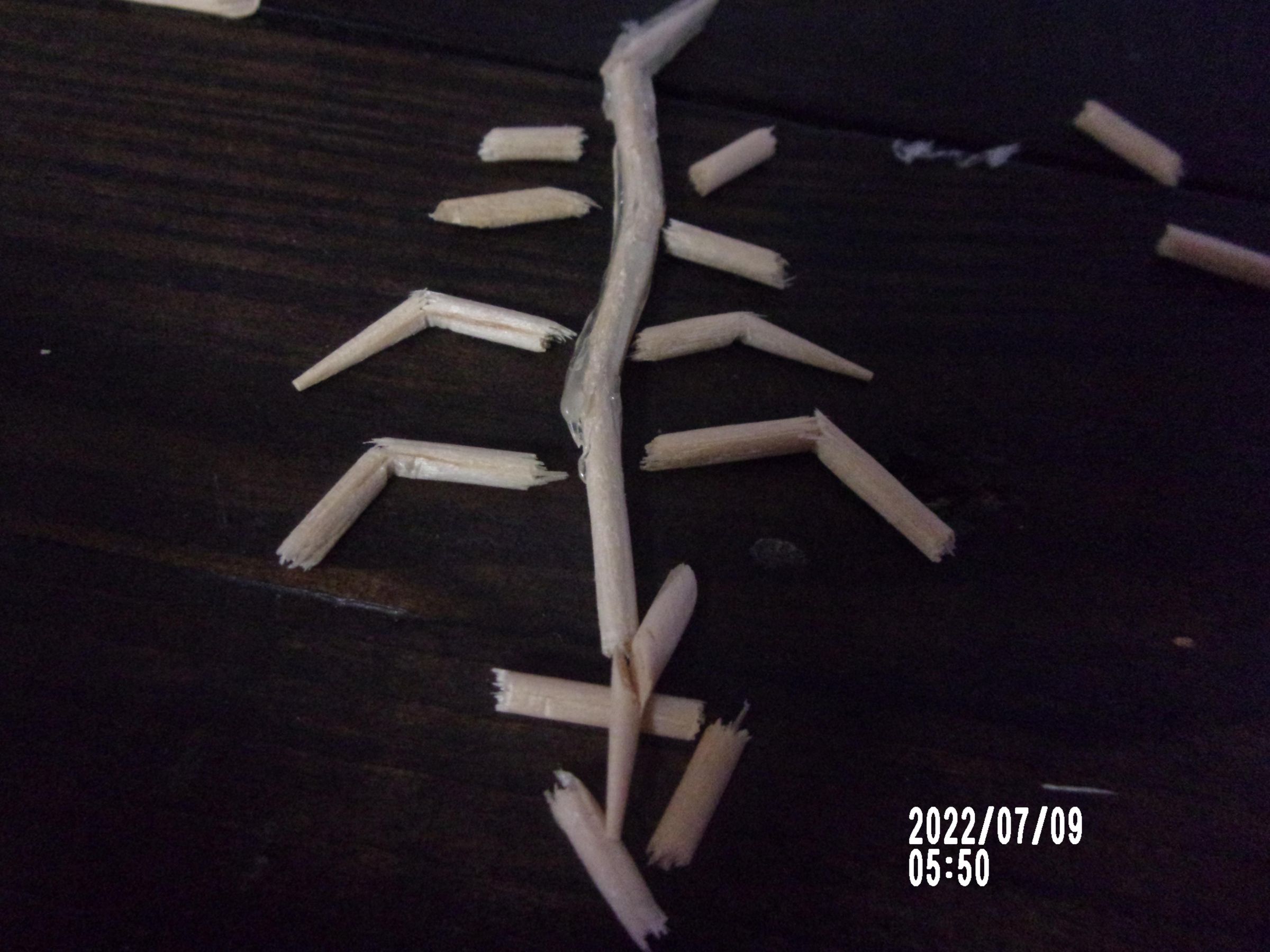 Toothpick Creatures : 6 Steps - Instructables