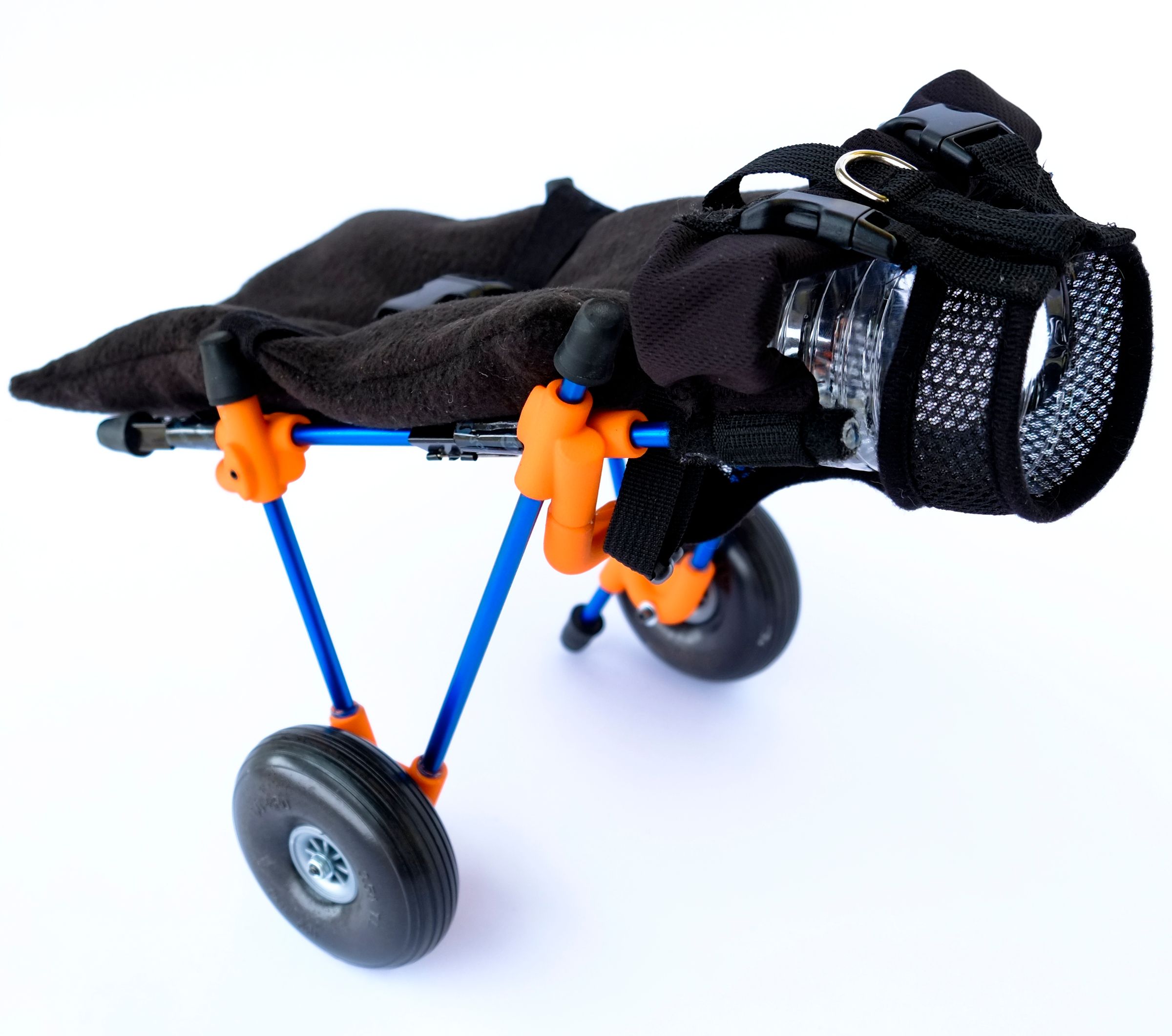 Cat Cart (Rear Leg Paralysis) : 5 Steps - Instructables