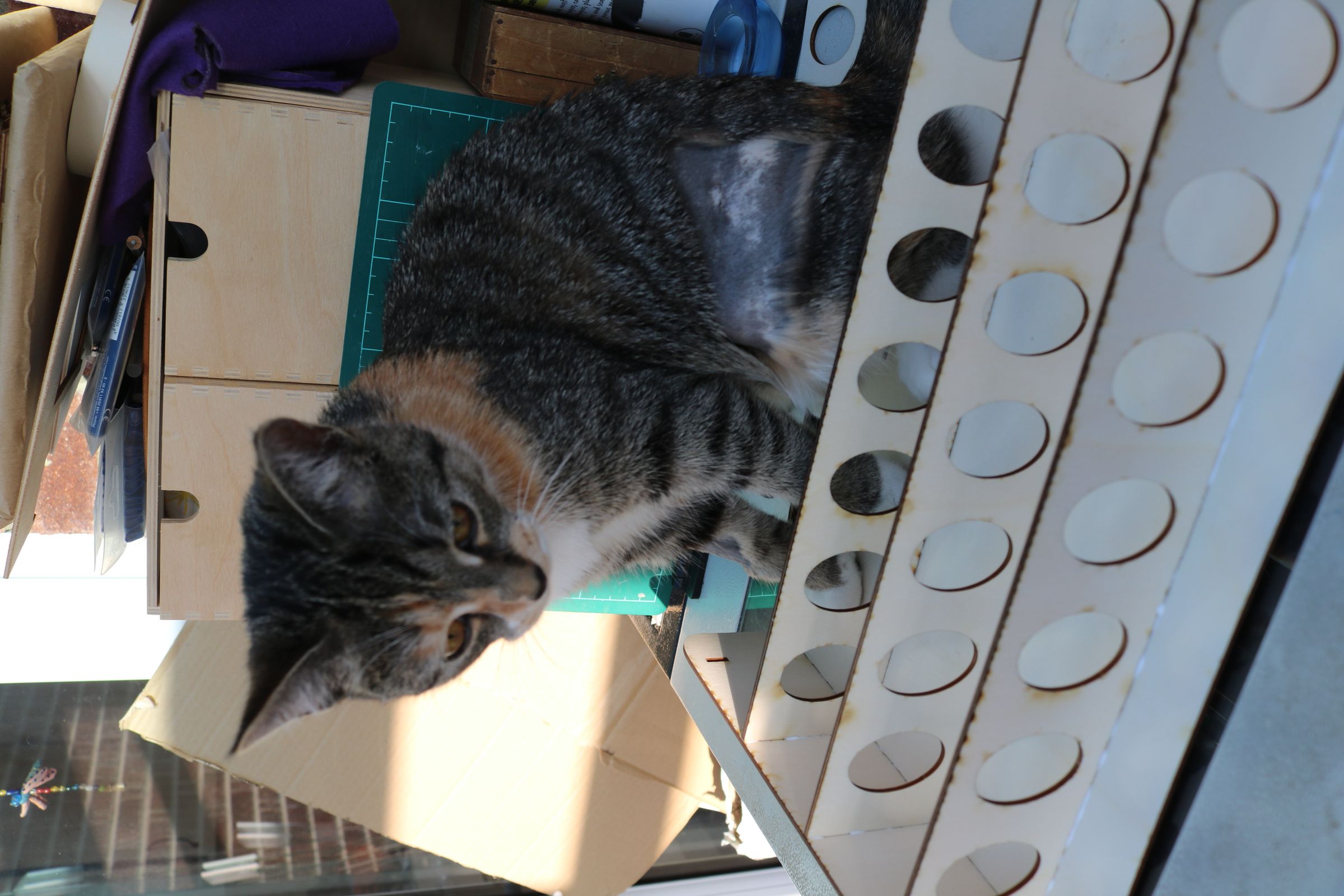 Coffee Pod Rack : 8 Steps (with Pictures) - Instructables