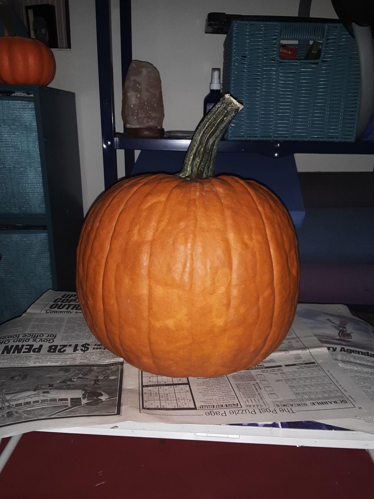 Pumpkin Painting Using the Projector Method : 5 Steps - Instructables