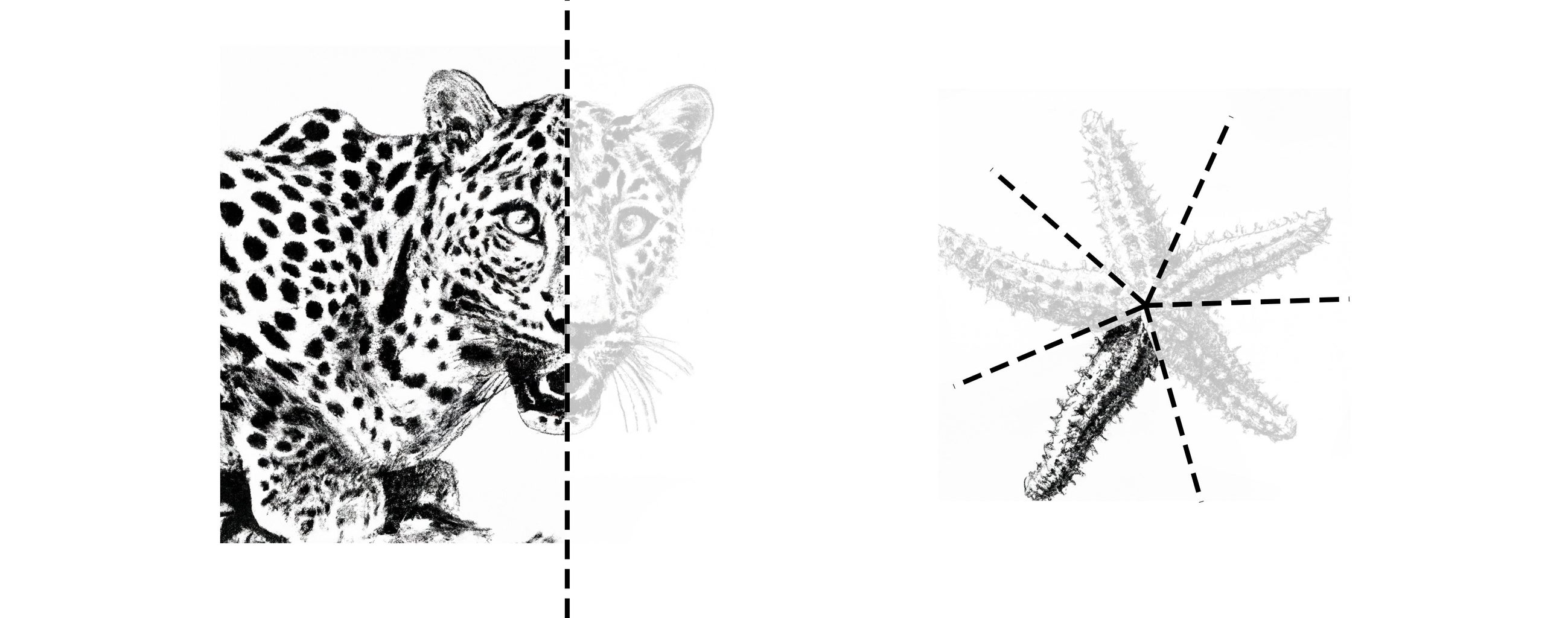 Re Discovering Nature With Tinkercad Codeblocks 14 Steps With