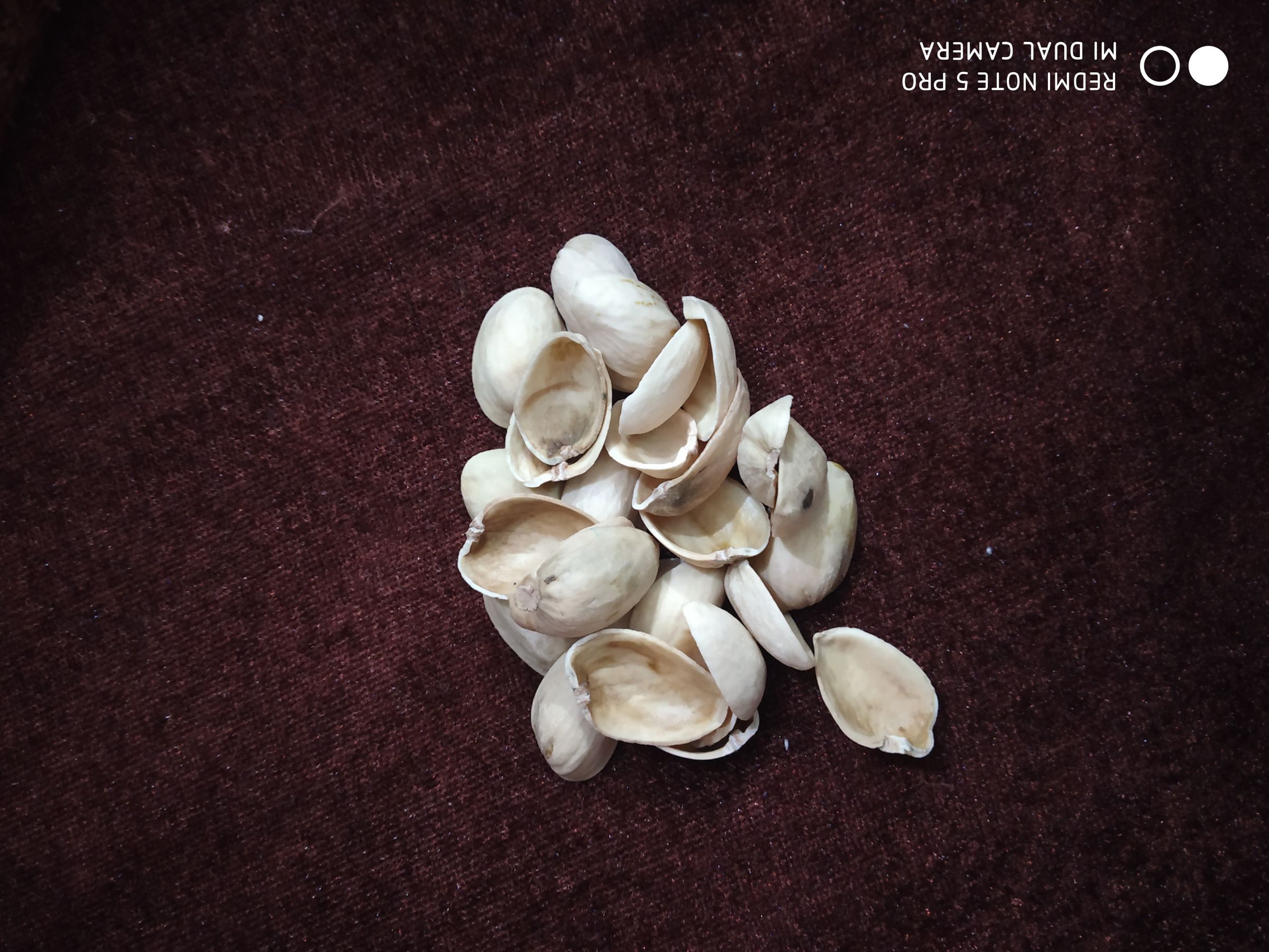 Pistachio Shell Jewellery : 8 Steps - Instructables