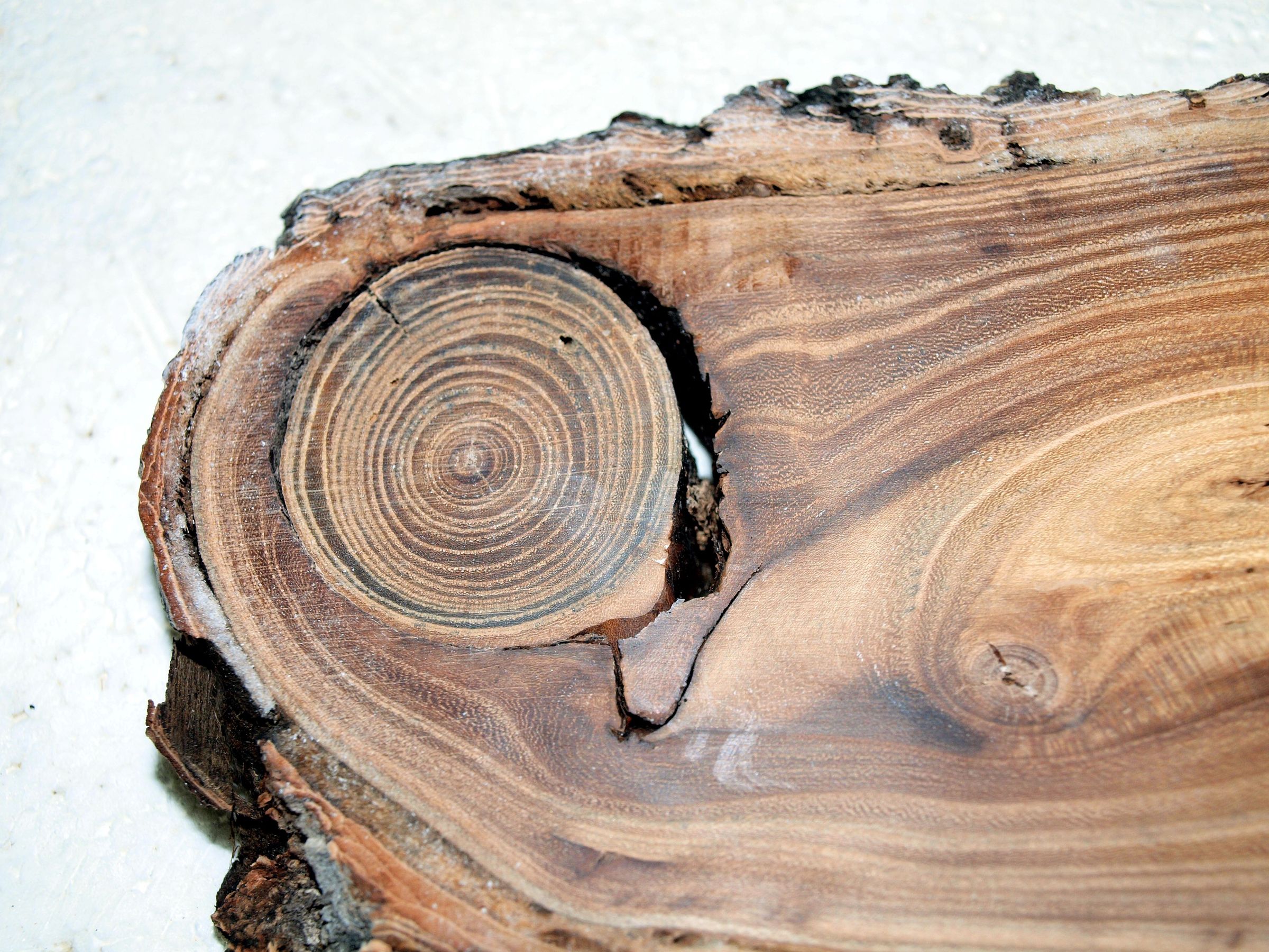 Gnarly Wood Projects With Weird Wood, Broken Glass, LED's and Epoxy ...