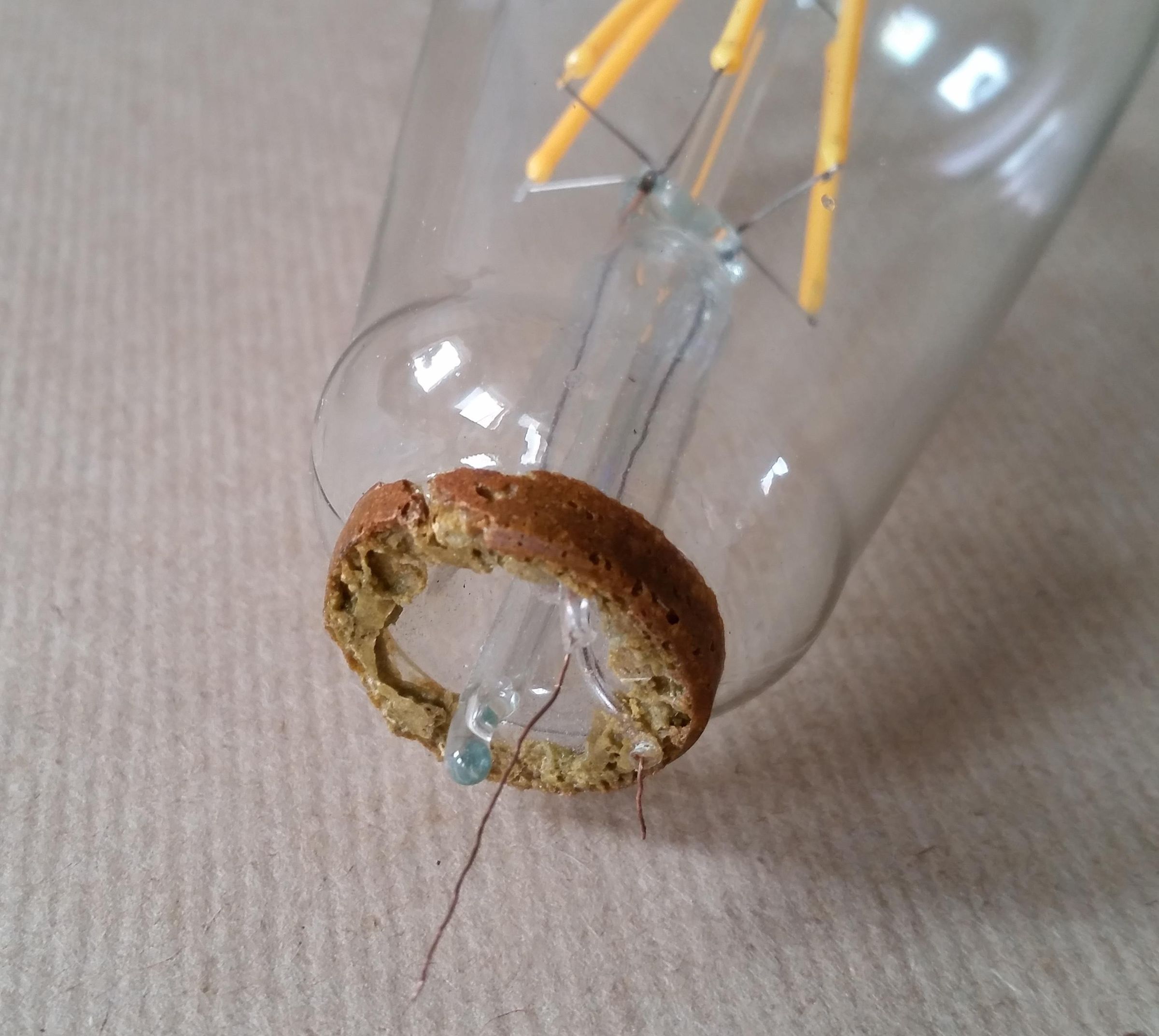 Water Propping Station From Light Bulbs : 8 Steps (with Pictures ...